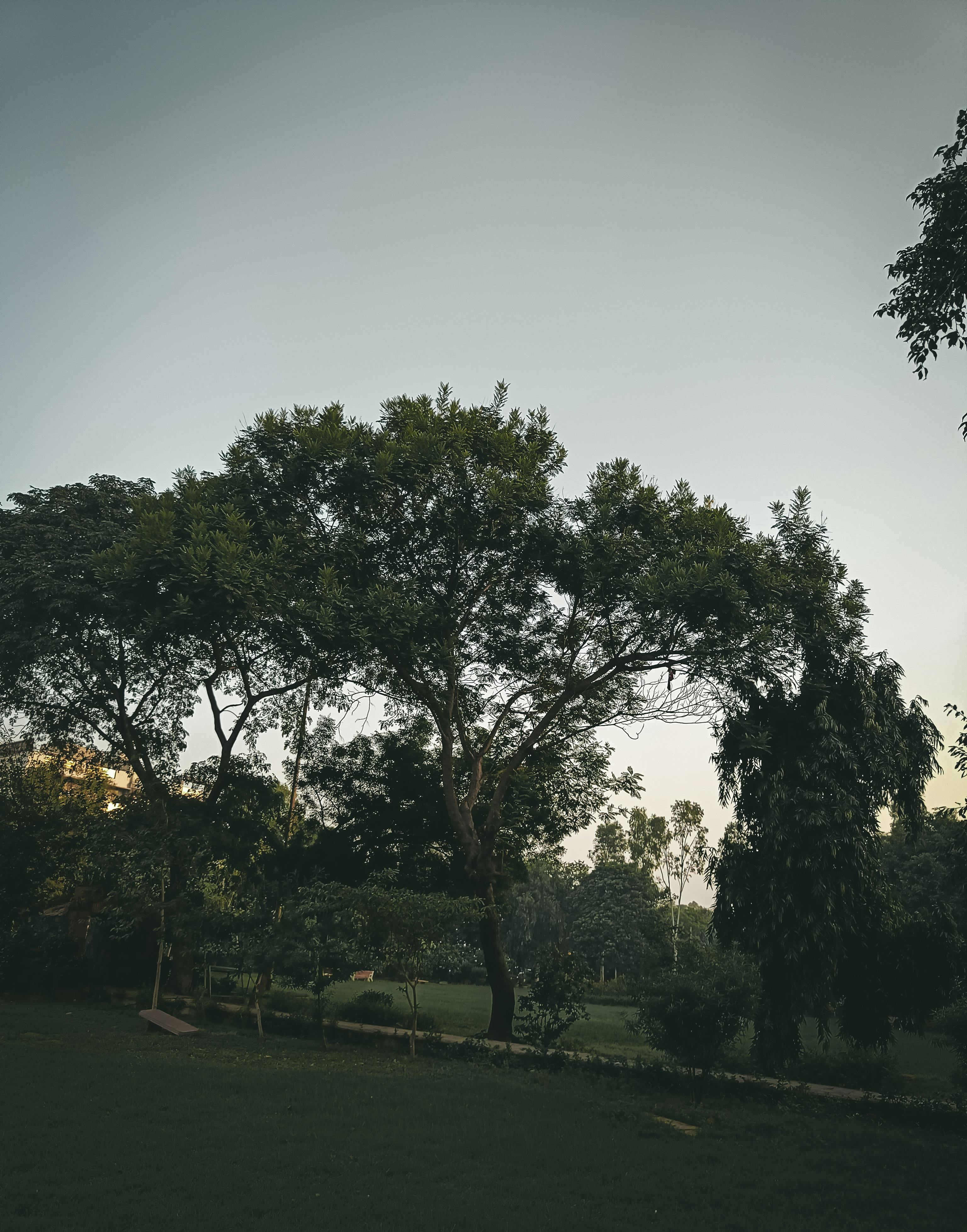 Aniket Mehtani - Photography