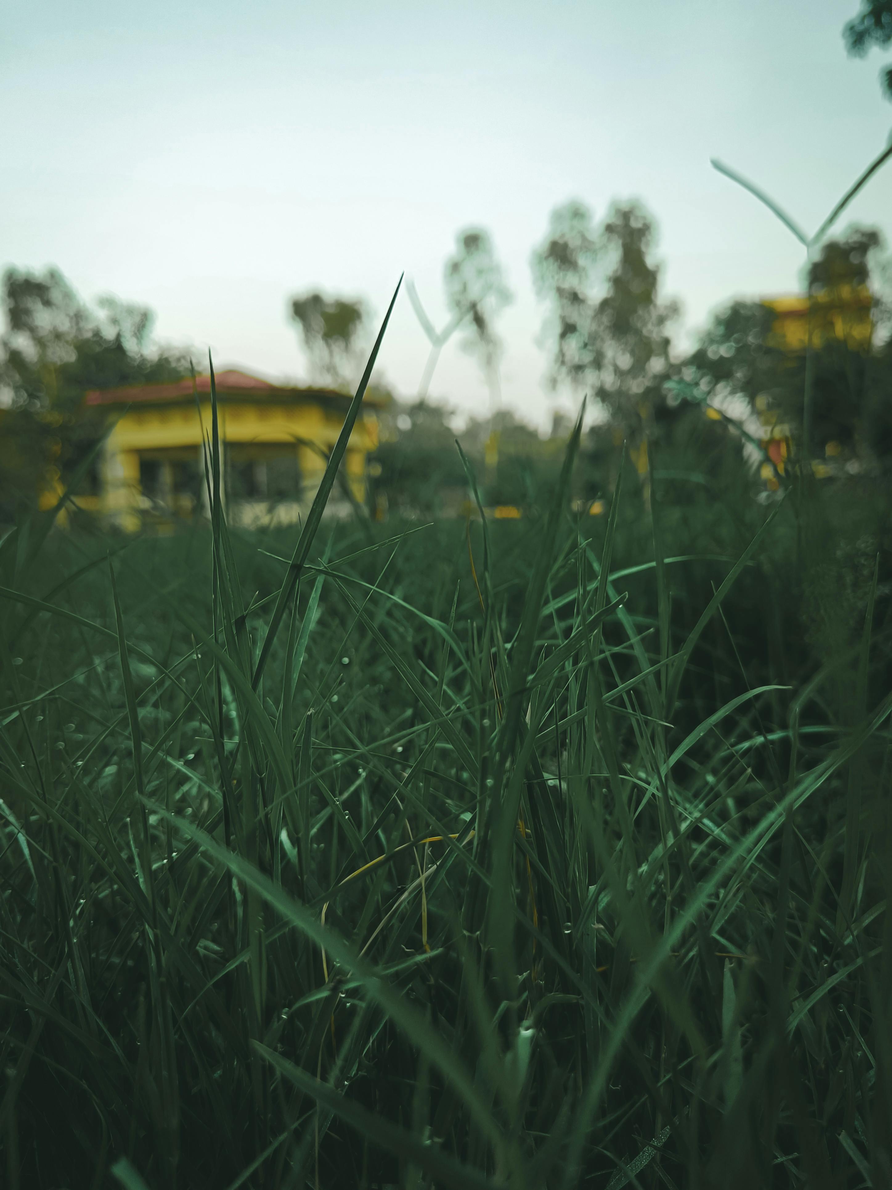 Aniket Mehtani - Photography