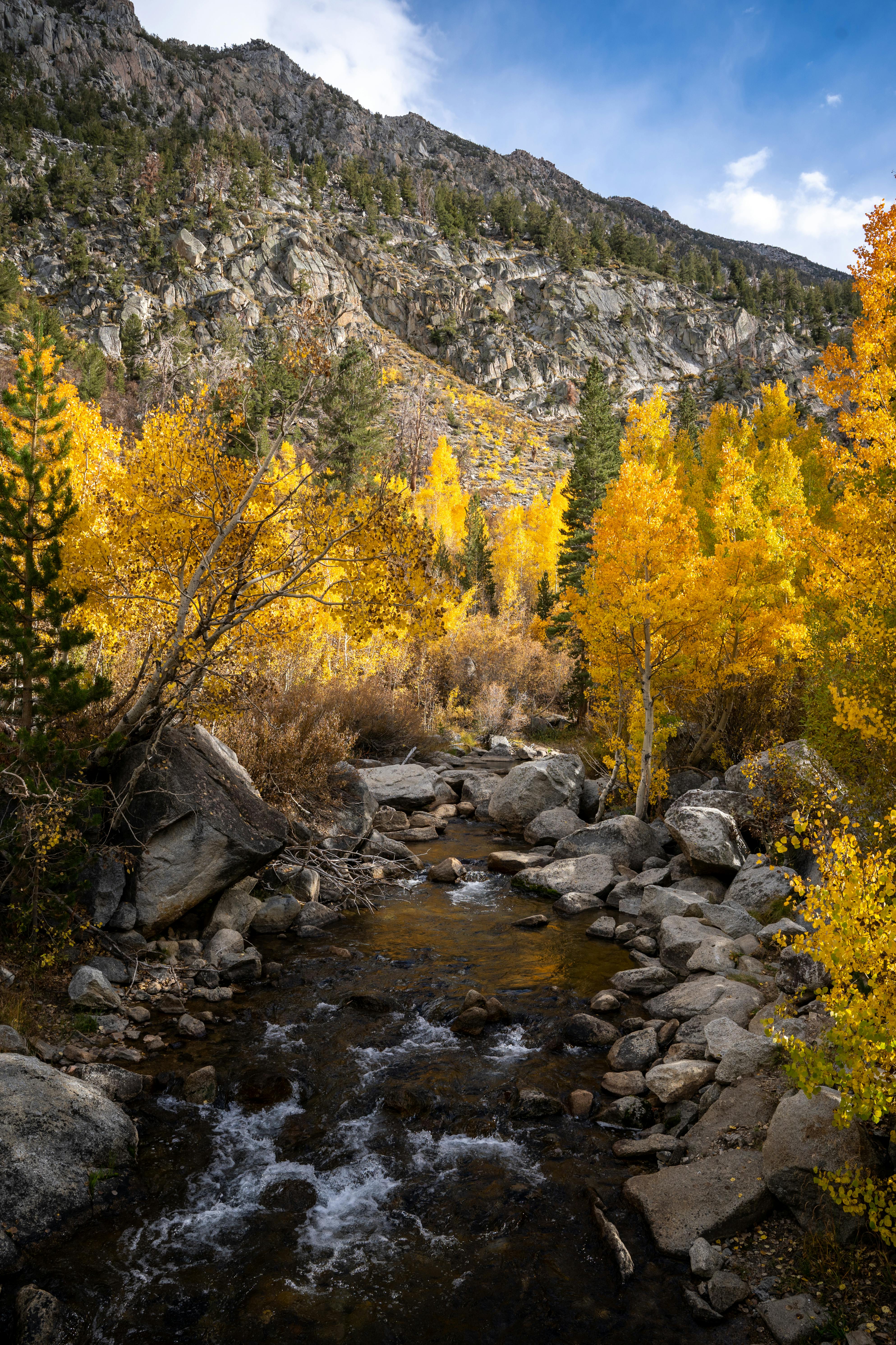 Path in a Mountain Valley in Fall · Free Stock Photo