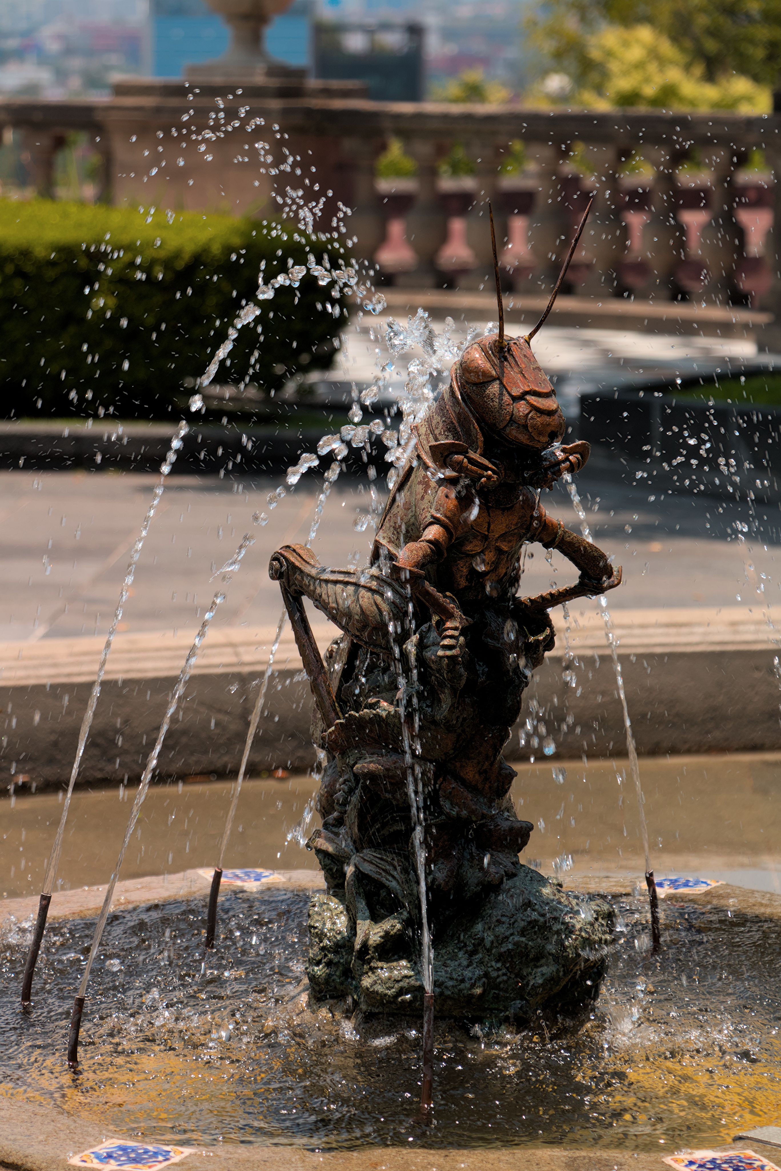 Locust Water Fountain at Chapultepec, Mexico City, Mexico · Free Stock ...