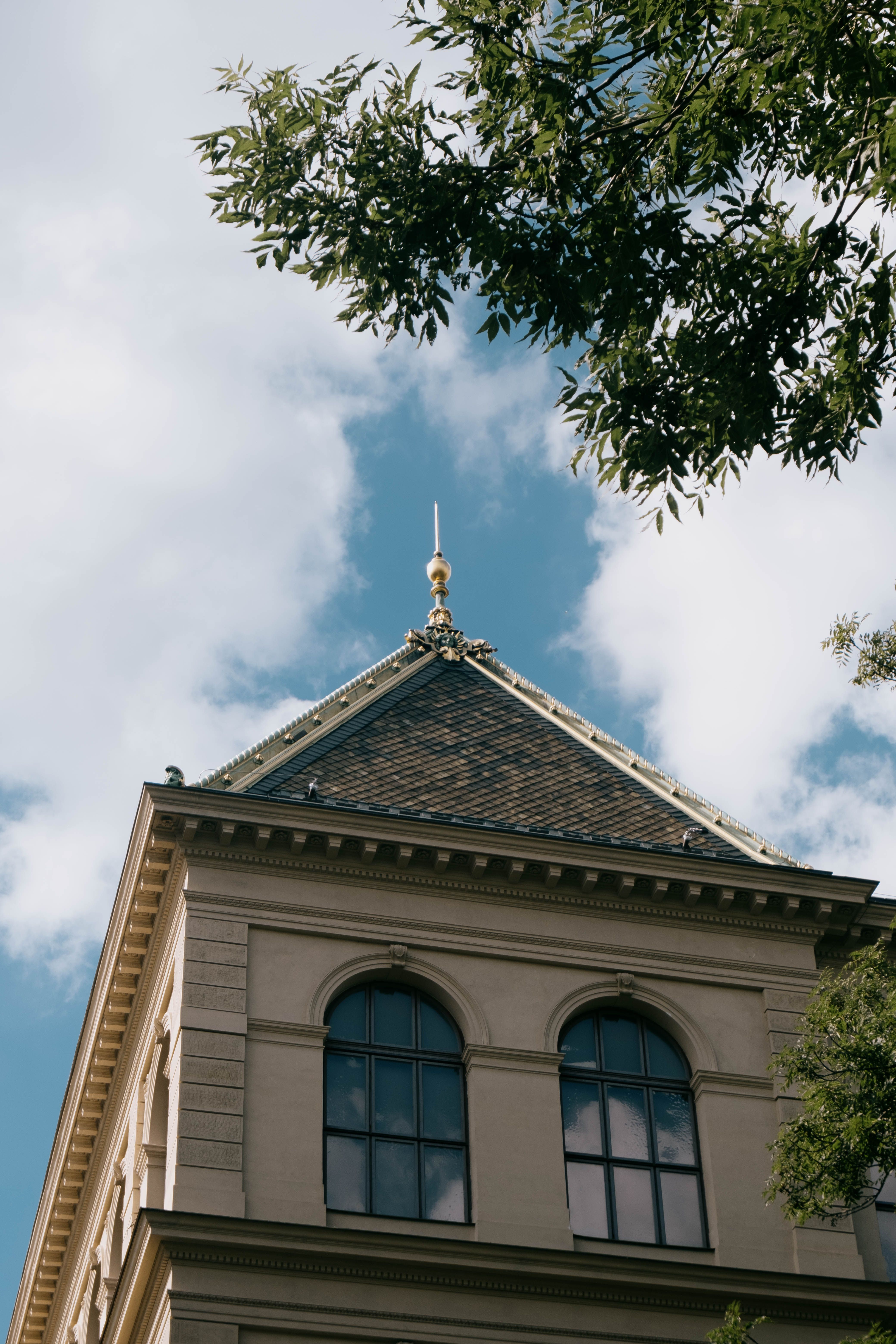 Tree Branches near Building Windows · Free Stock Photo