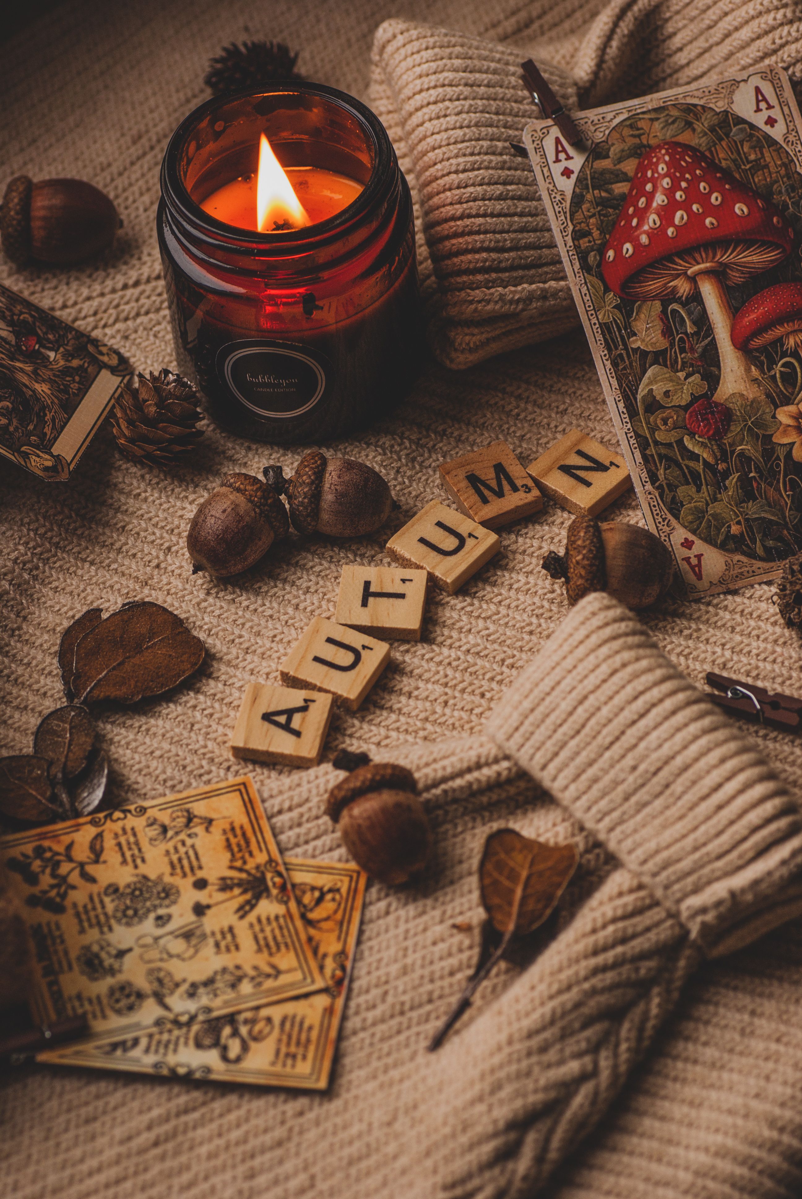Sweter Photos, Download The BEST Free Sweter Stock Photos & HD Images