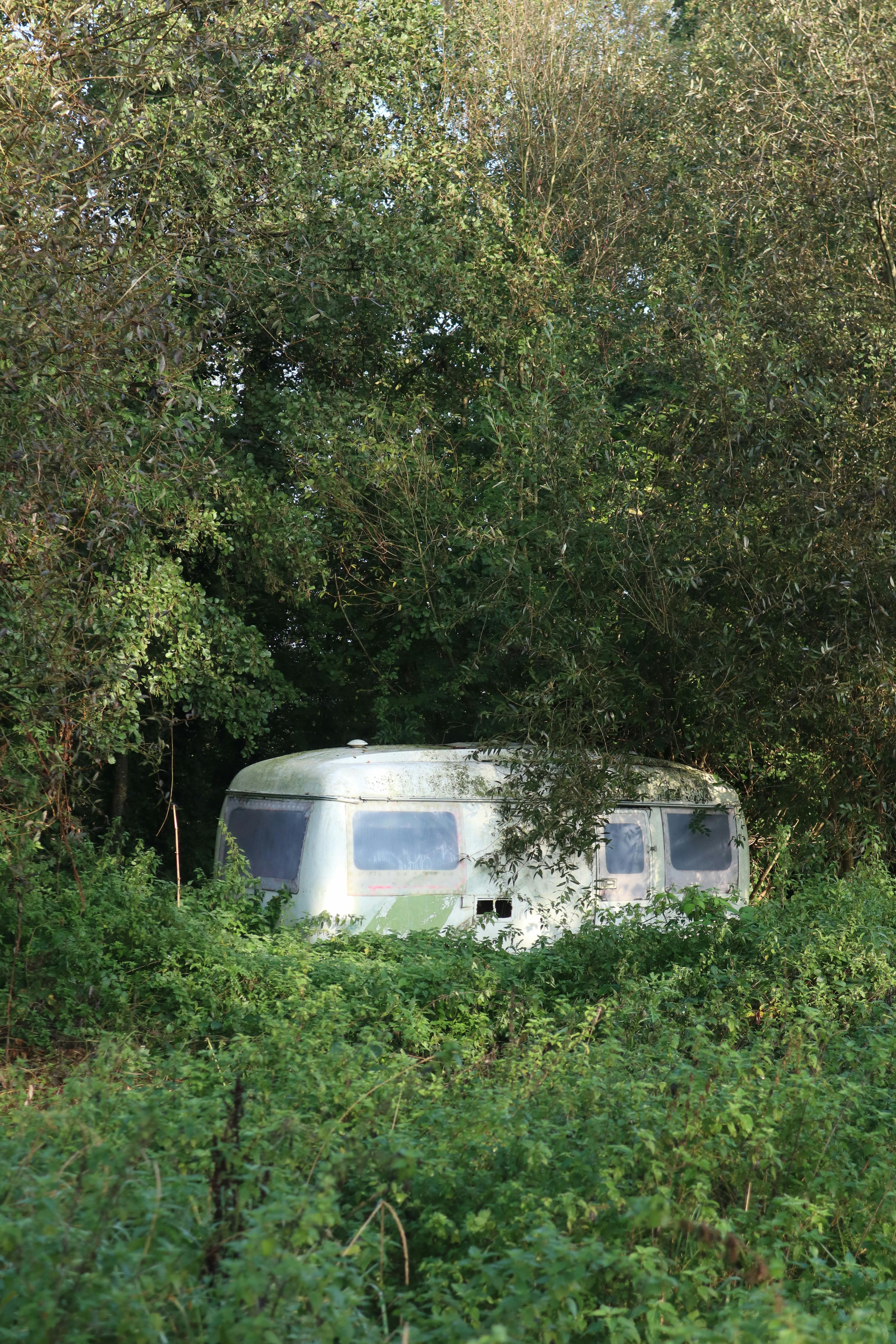 RV Trailer among Trees · Free Stock Photo