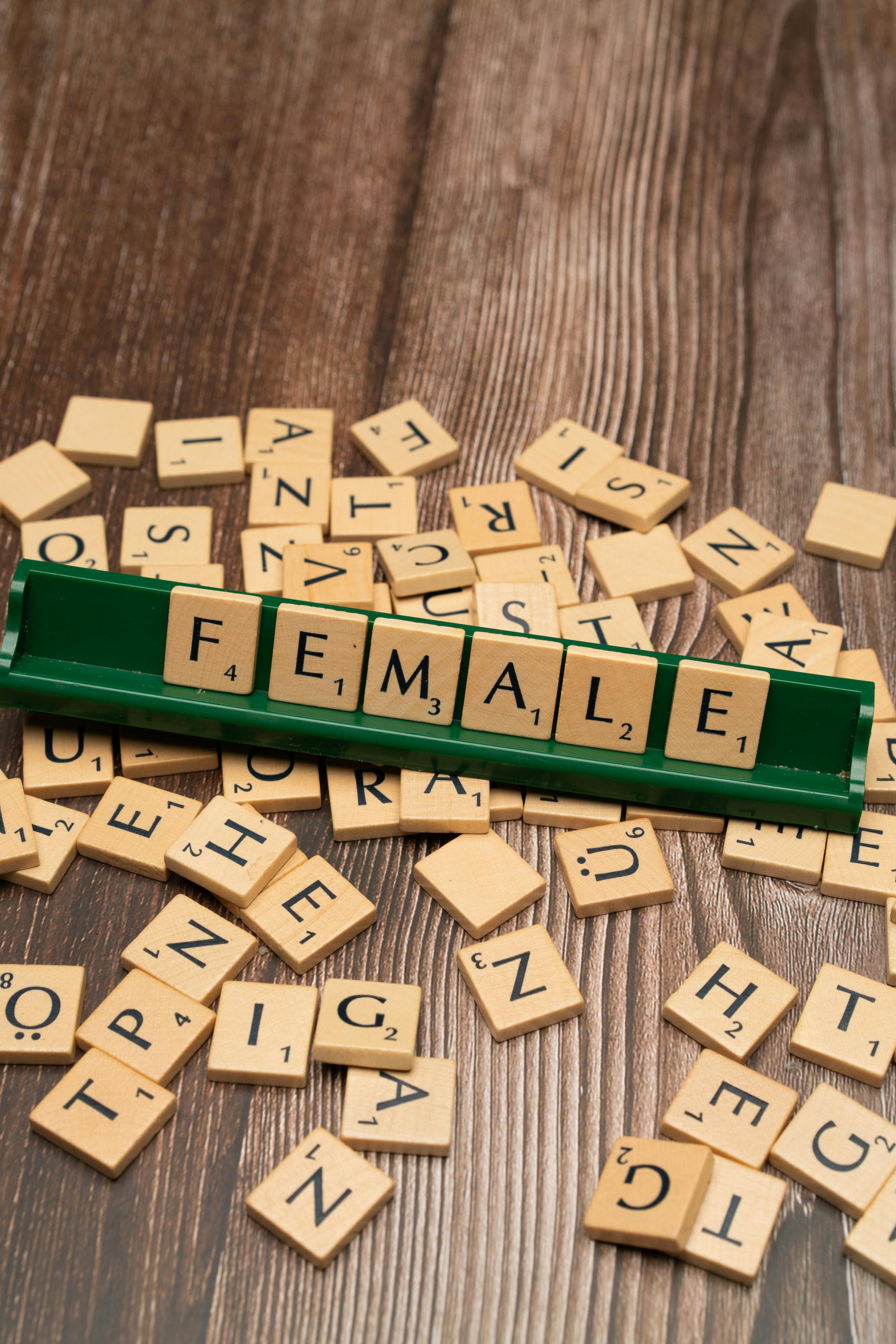 The word female is spelled out with scrabble tiles · Free Stock Photo
