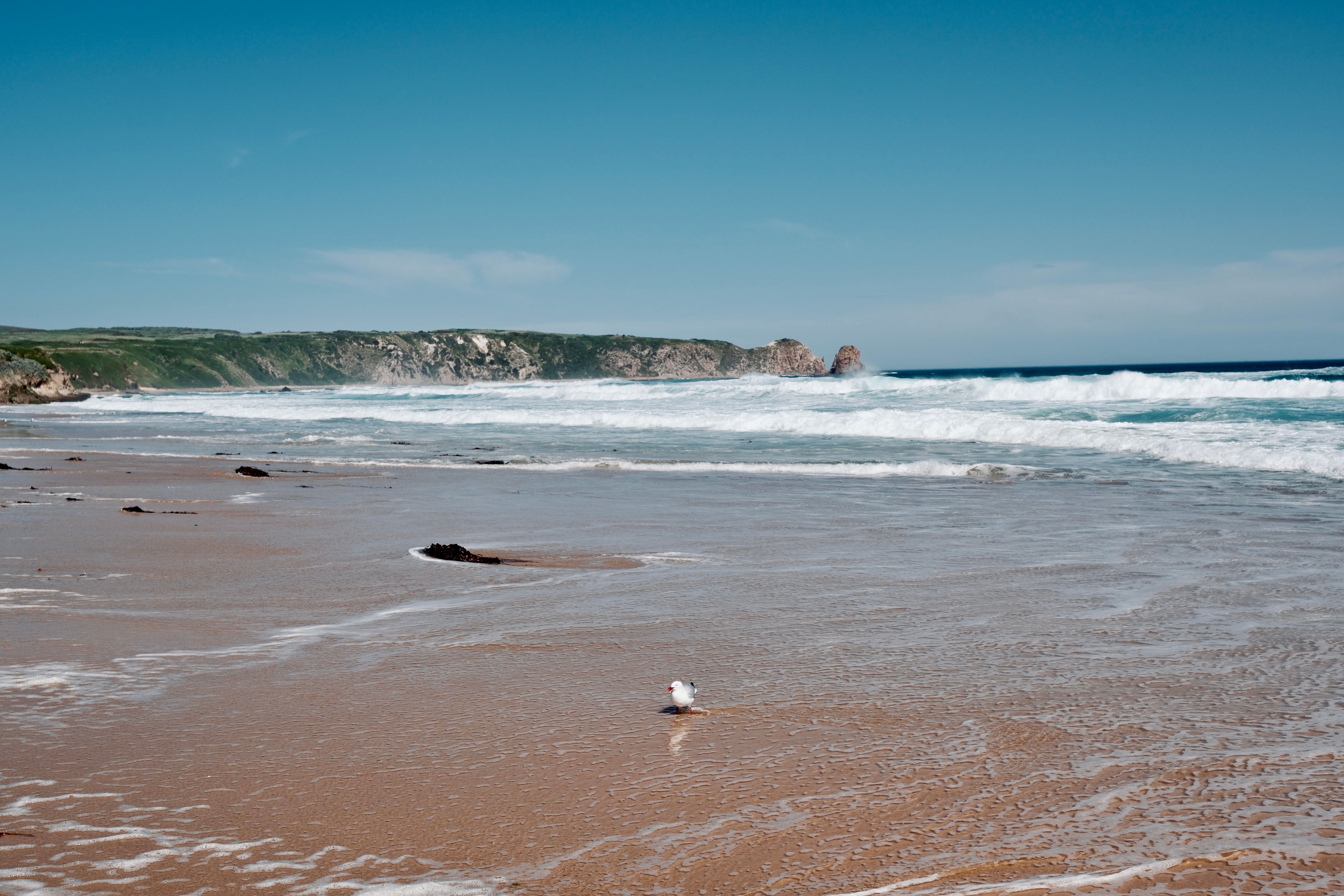 Internet Waves Photos, Download The BEST Free Internet Waves Stock ...