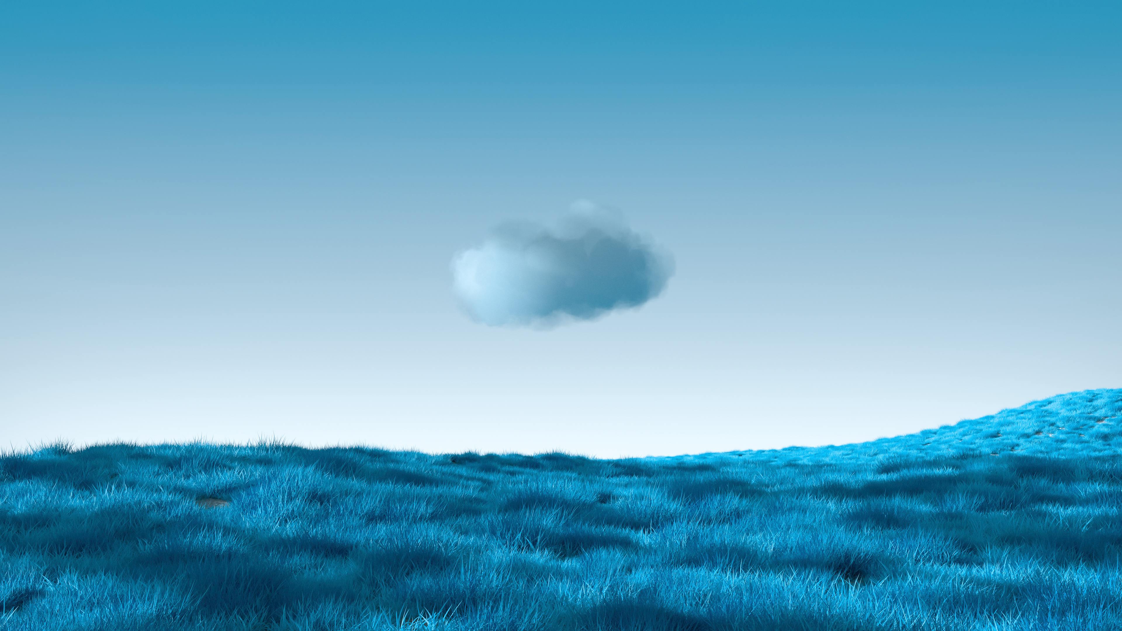 Manav Sharma - 사진