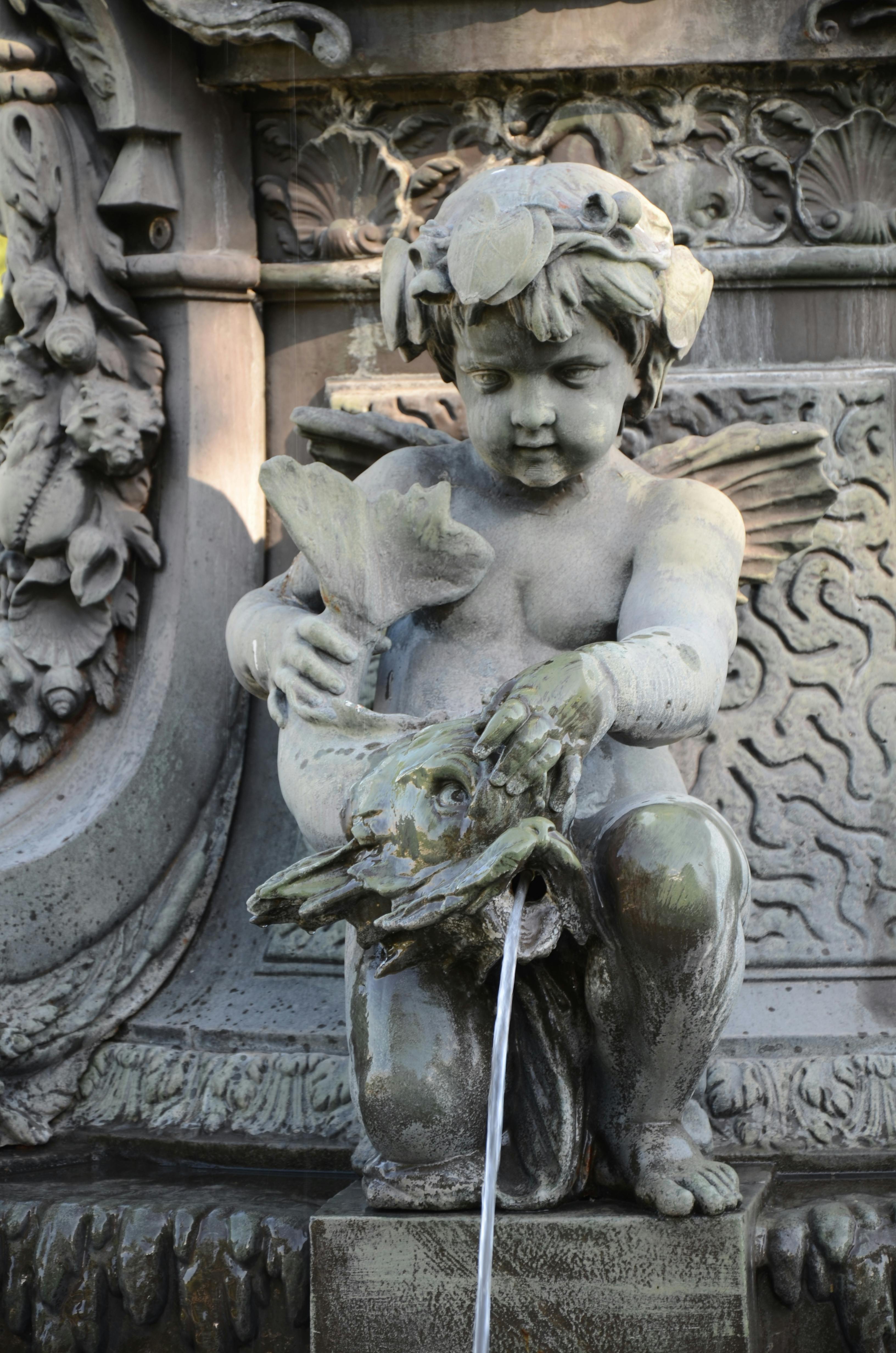 Babies Fish Photos, Download The BEST Free Babies Fish Stock Photos ...