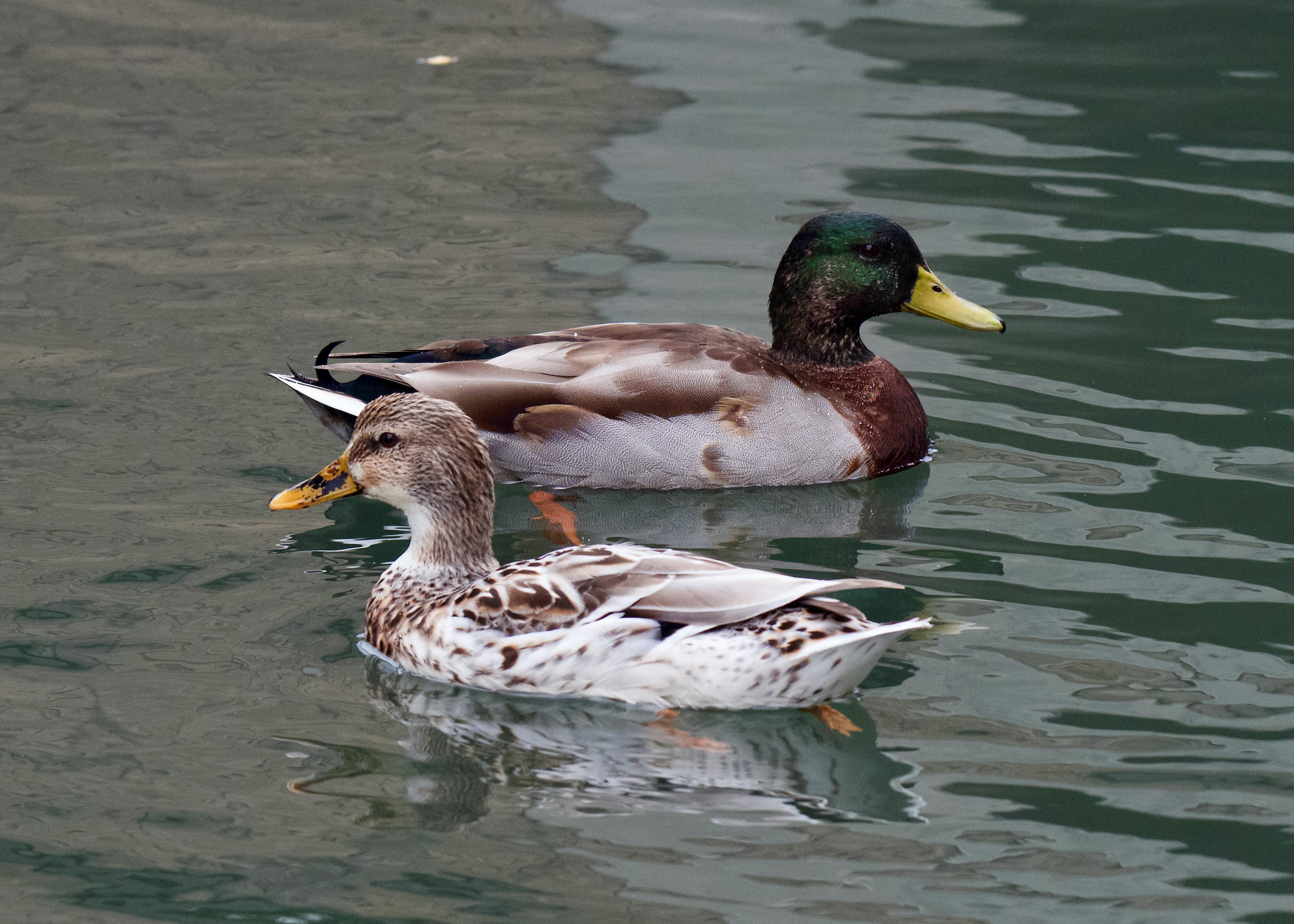 Drake X Launchpad Photos, Download The BEST Free Drake X Launchpad ...