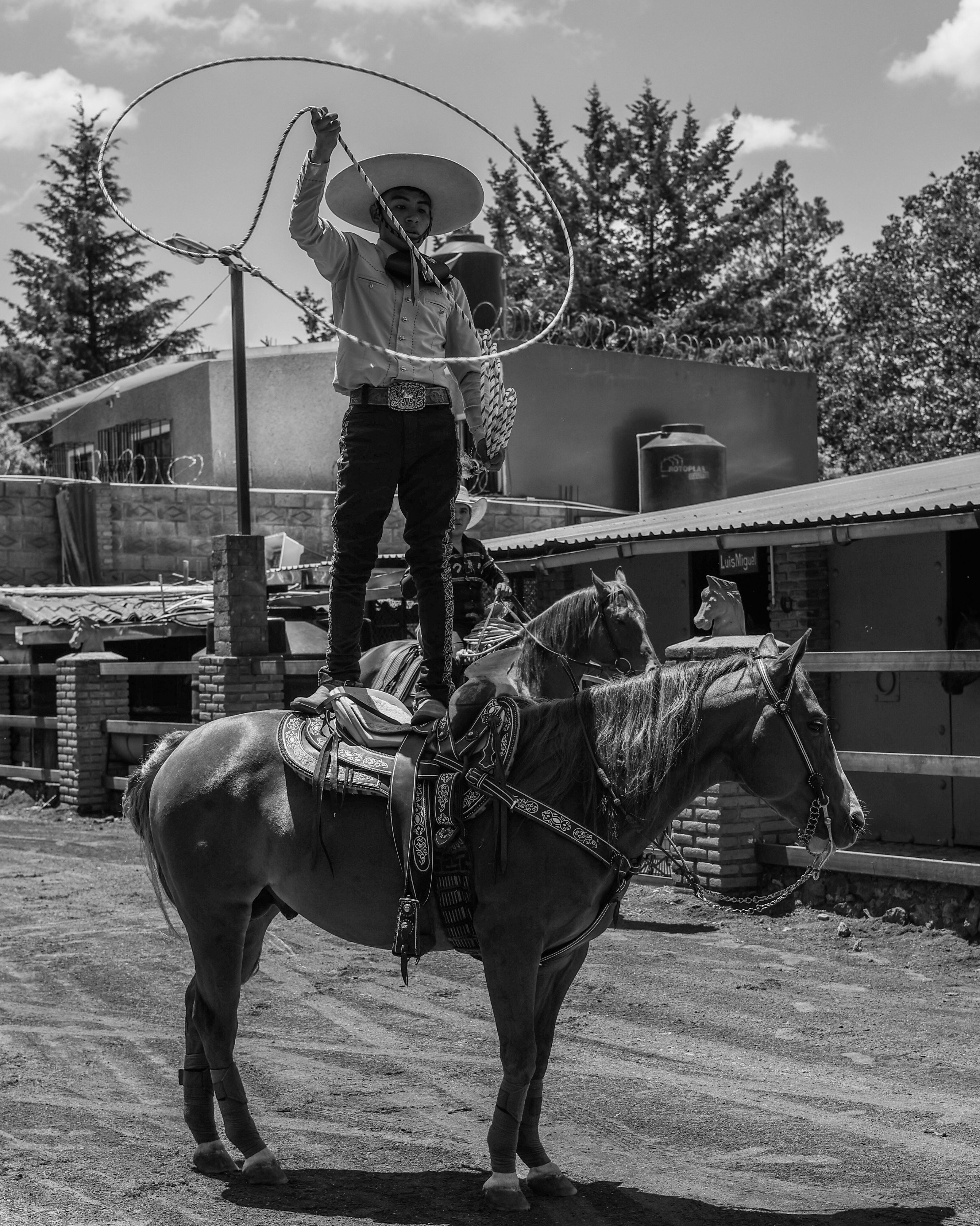 Man Spinning Lasso Standing on the Saddle · Free Stock Photo