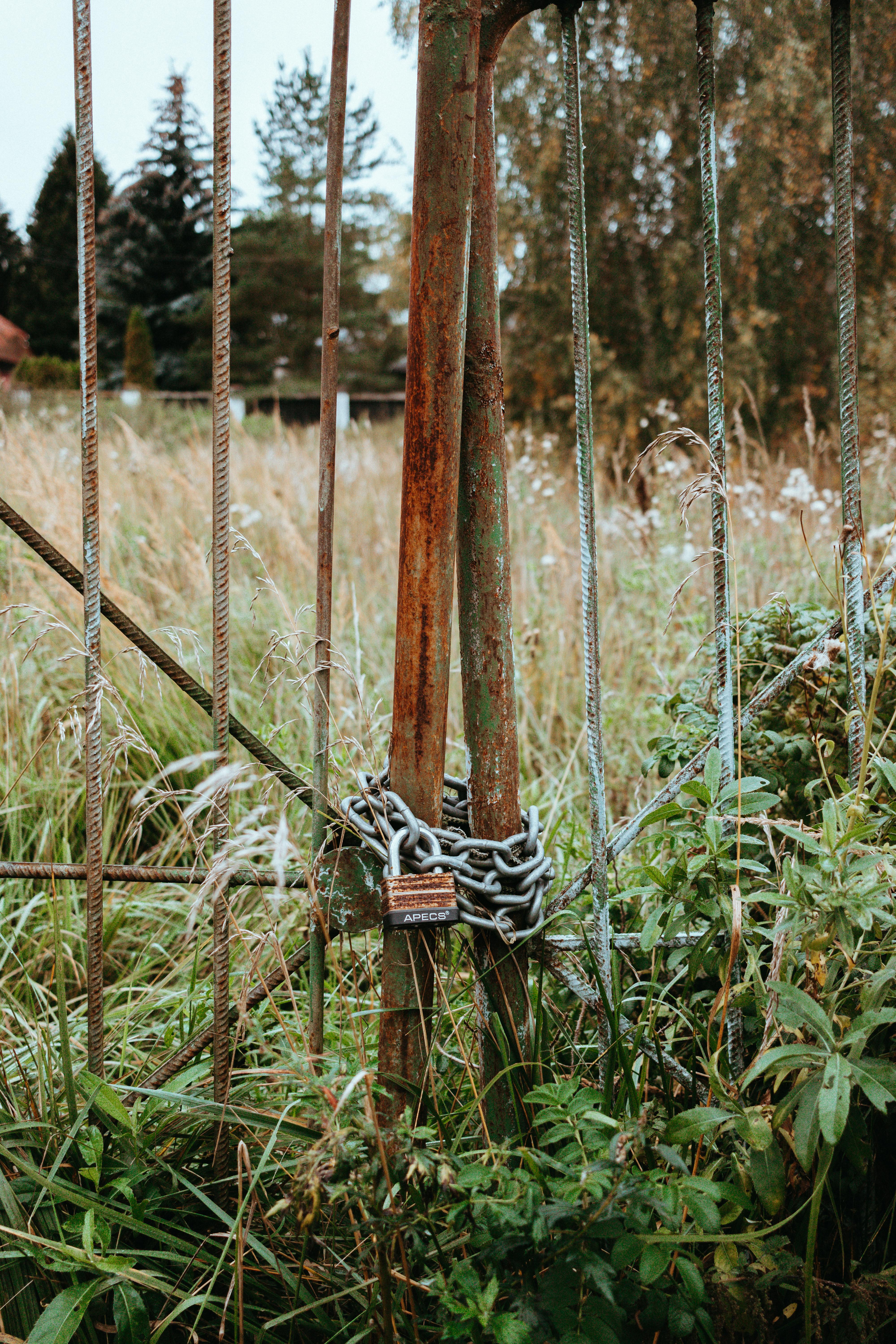 A gate with a padlock on it in a field · Free Stock Photo