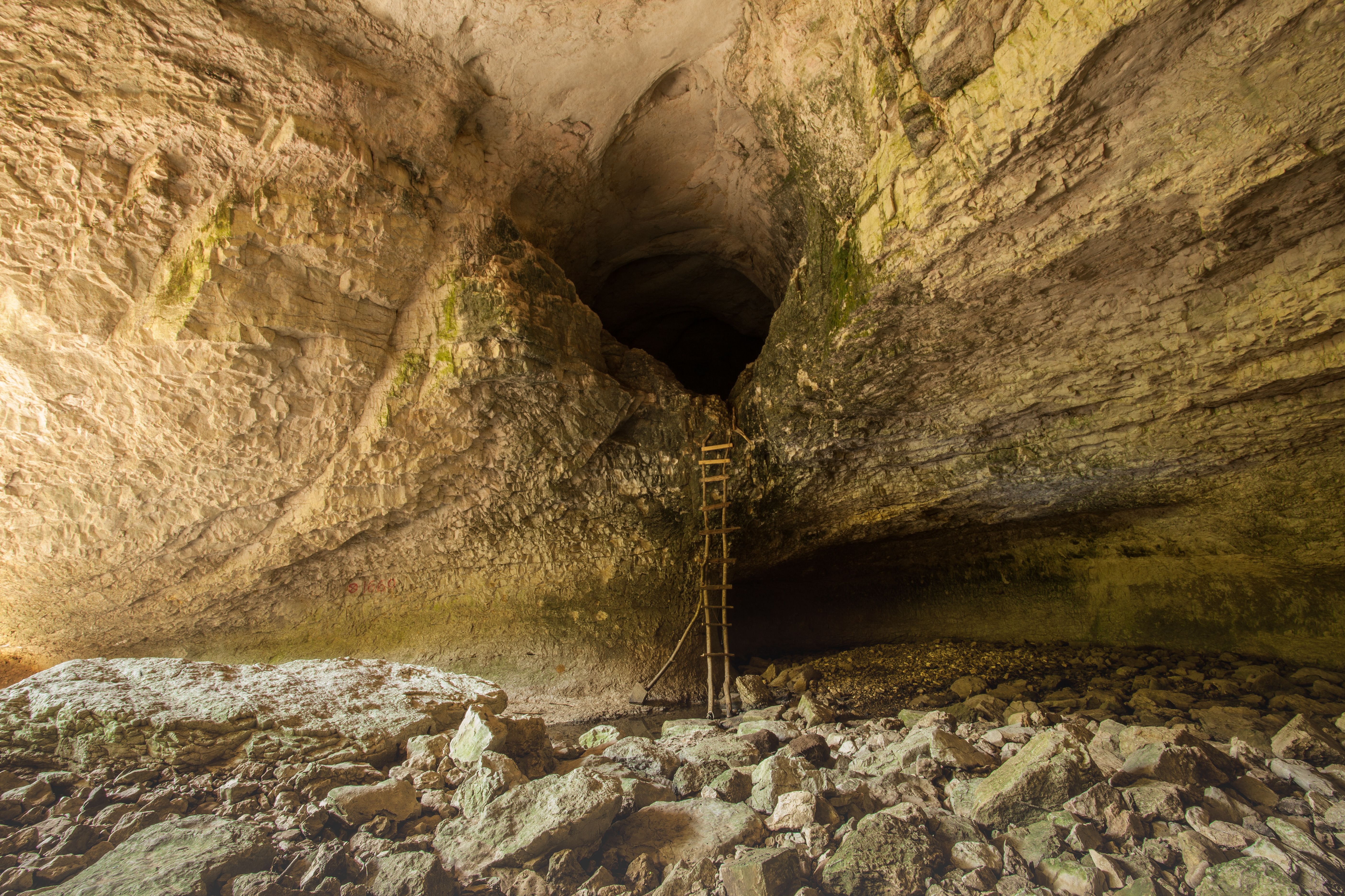 A cave with a ladder leading up to it · Free Stock Photo