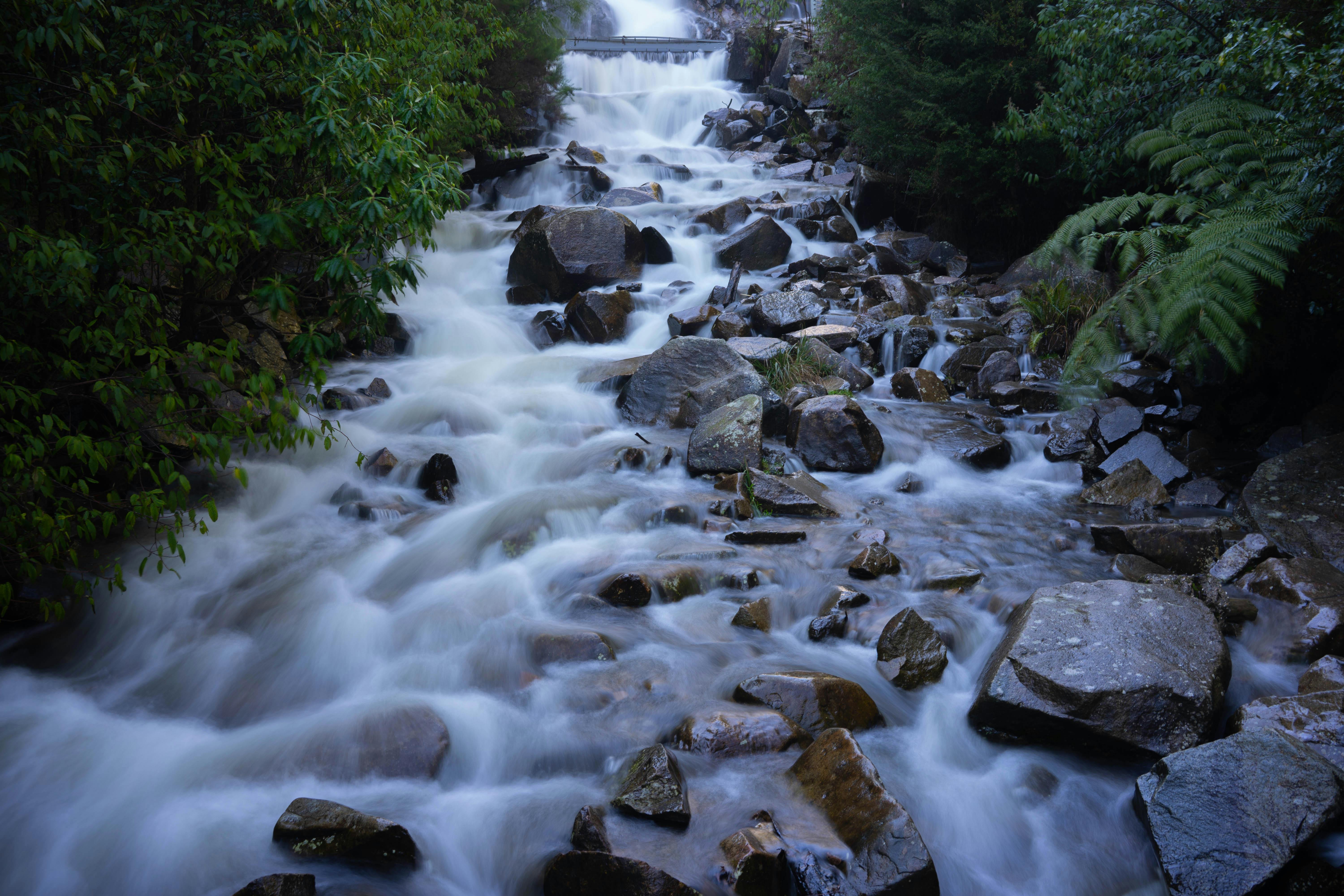 Rocks in Stream · Free Stock Photo