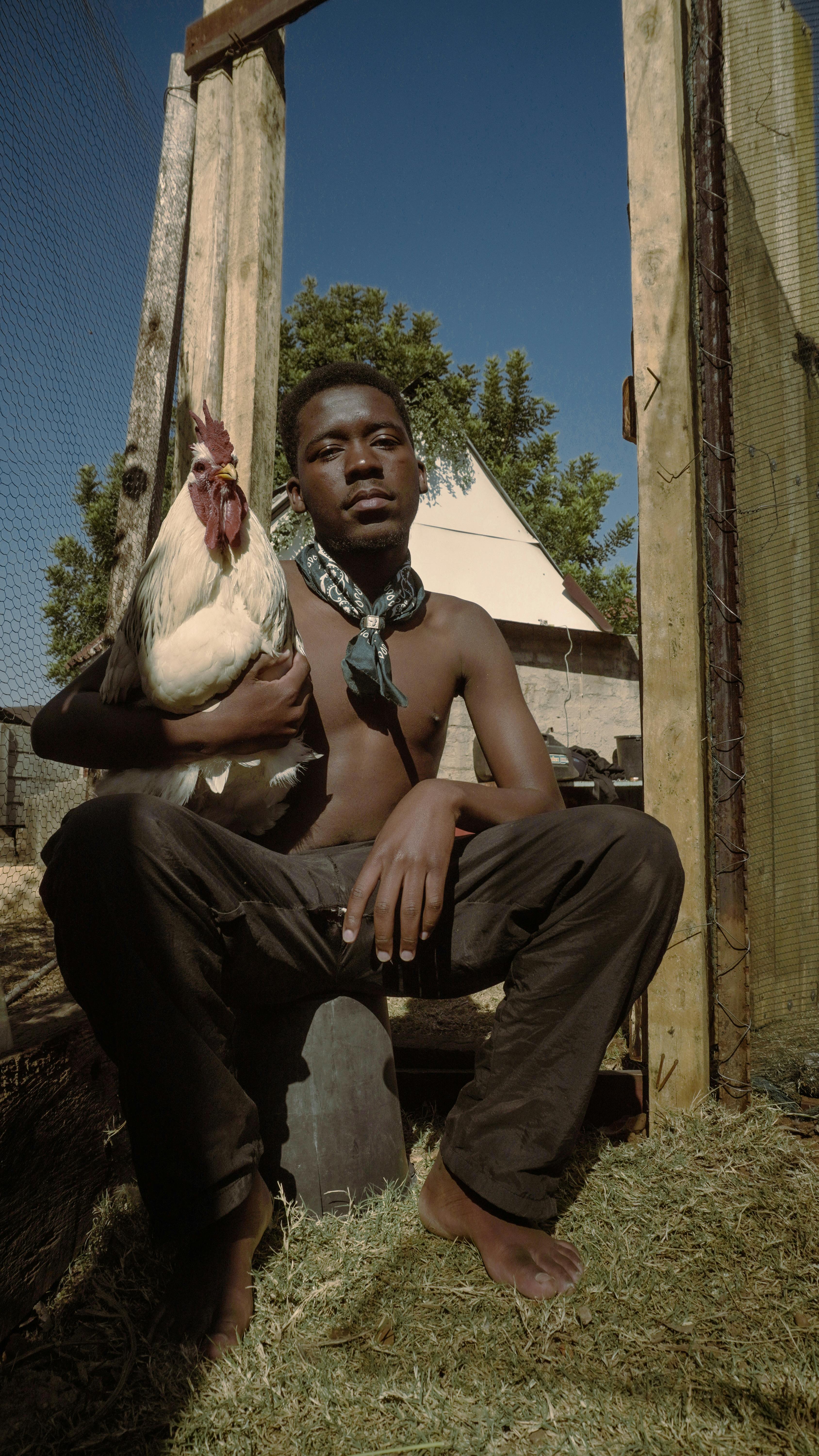 Rooster Man Photos, Download The BEST Free Rooster Man Stock Photos ...