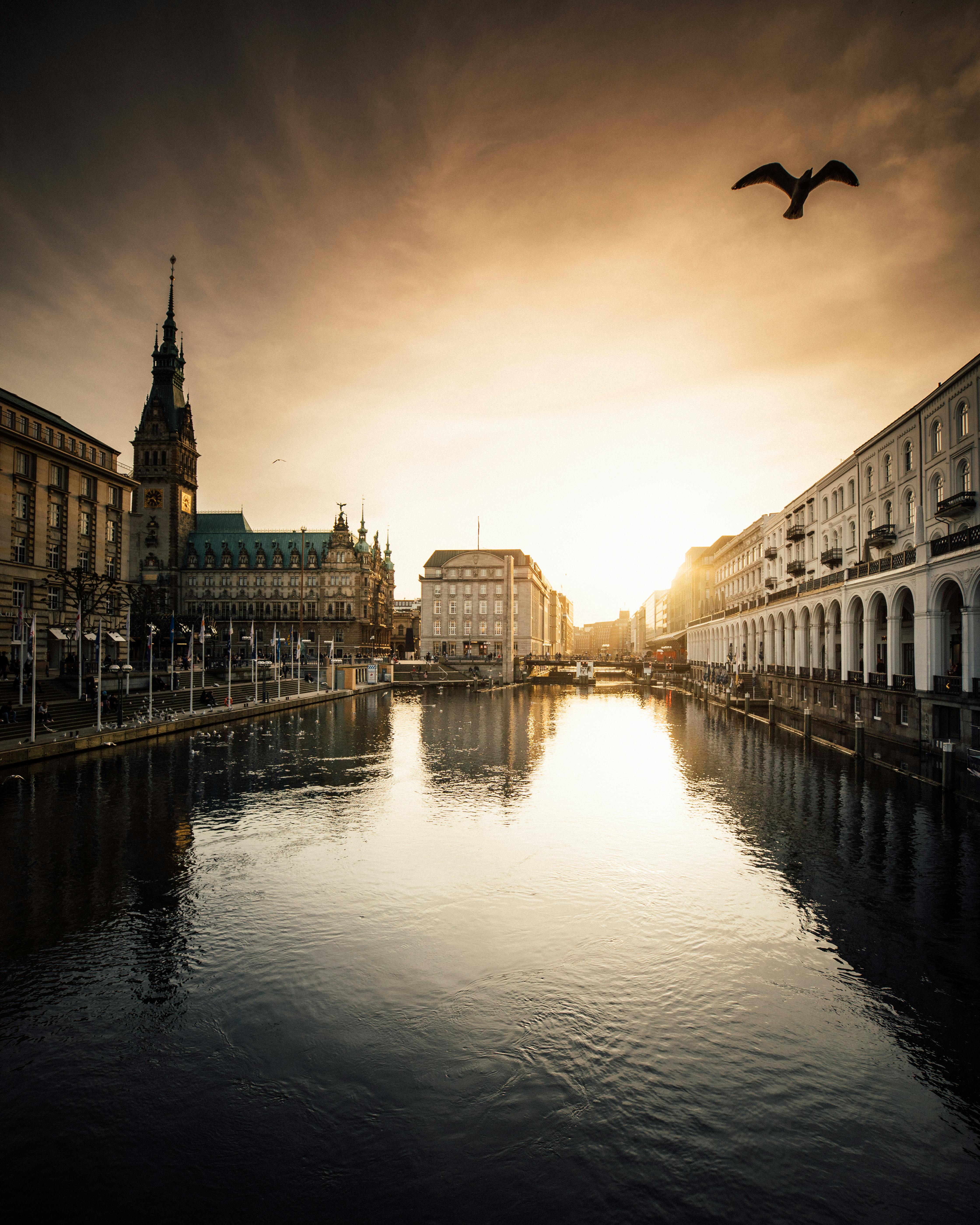 View of the Alster River and Buildings in Hamburg, Germany · Free Stock ...