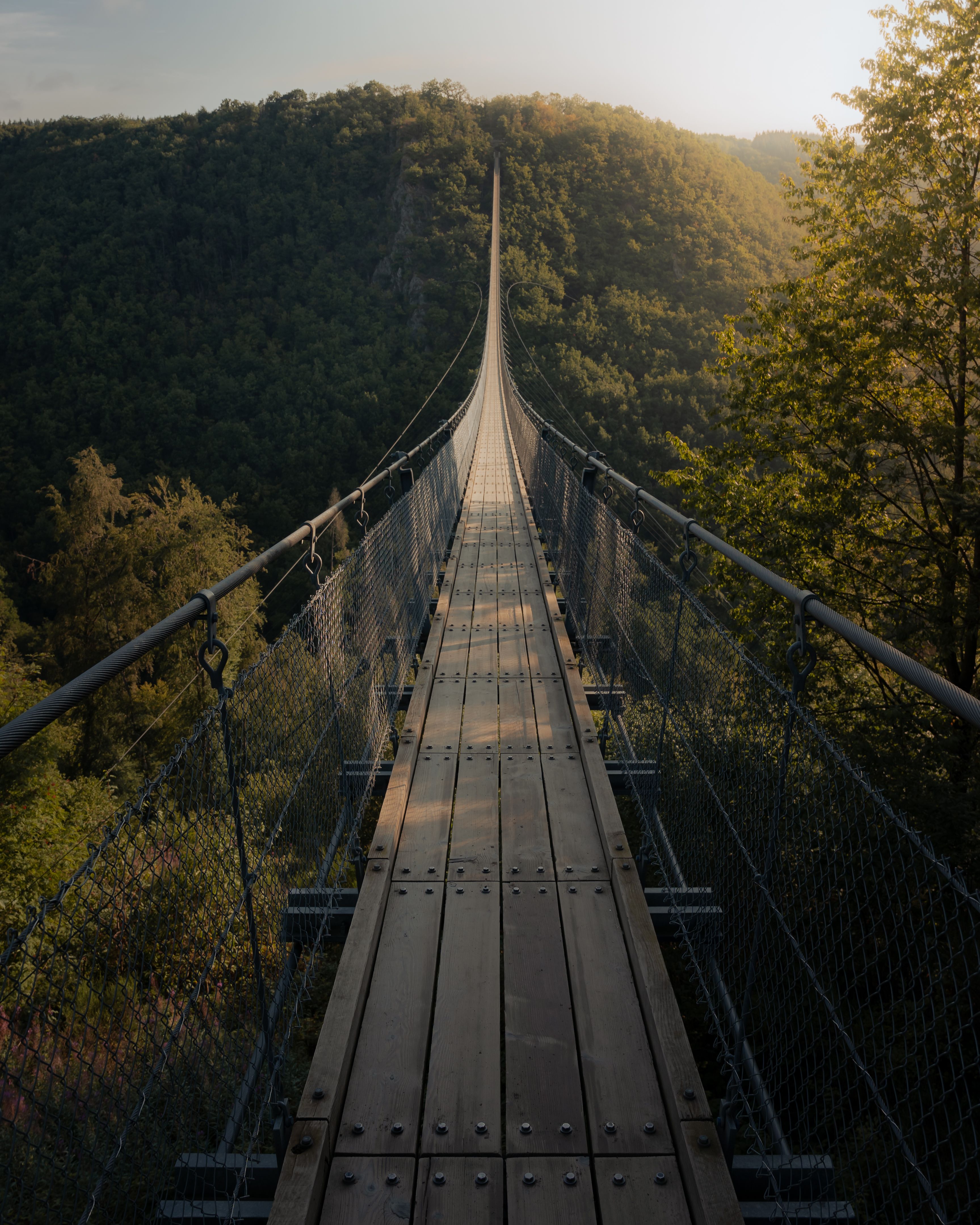 Suspension Bridge over Valley · Free Stock Photo