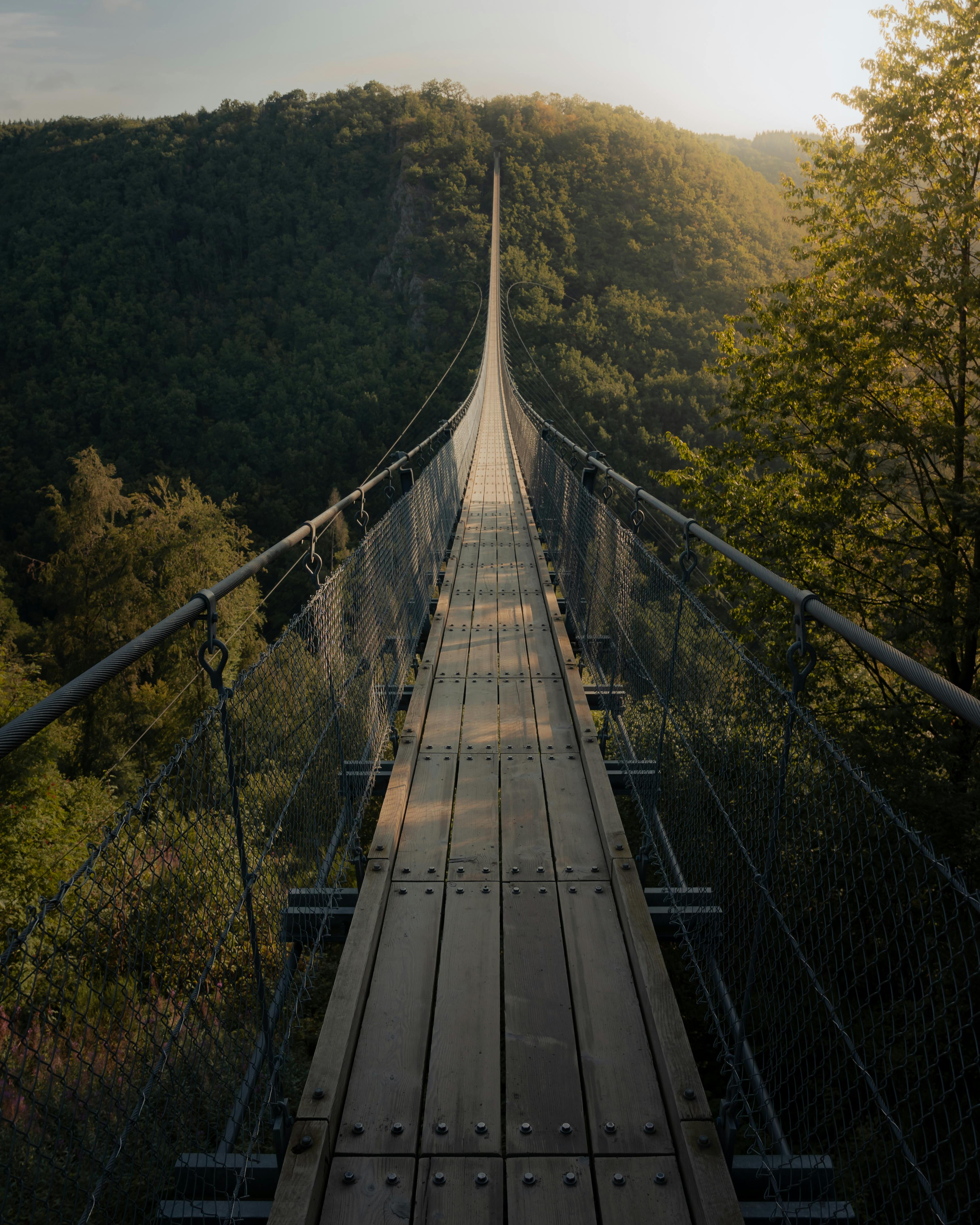 Brown Wooden Bridge over Green Trees · Free Stock Photo