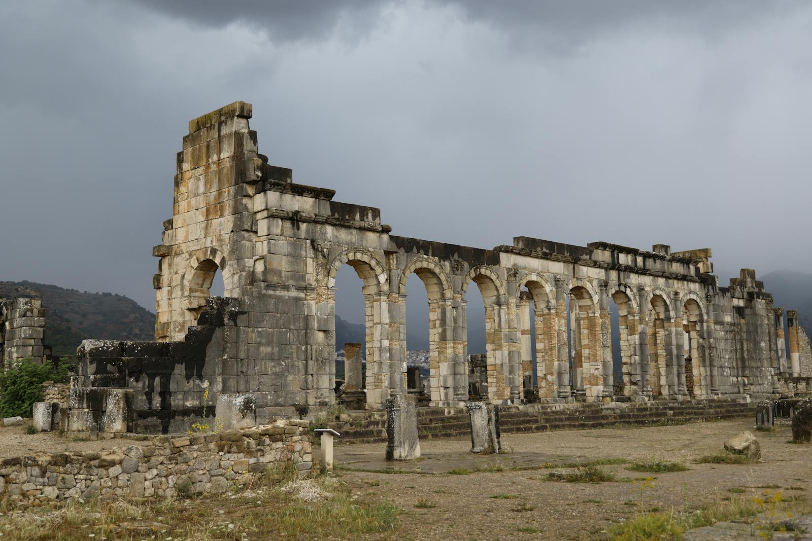 Volubilis Photos, Download The BEST Free Volubilis Stock Photos & HD Images