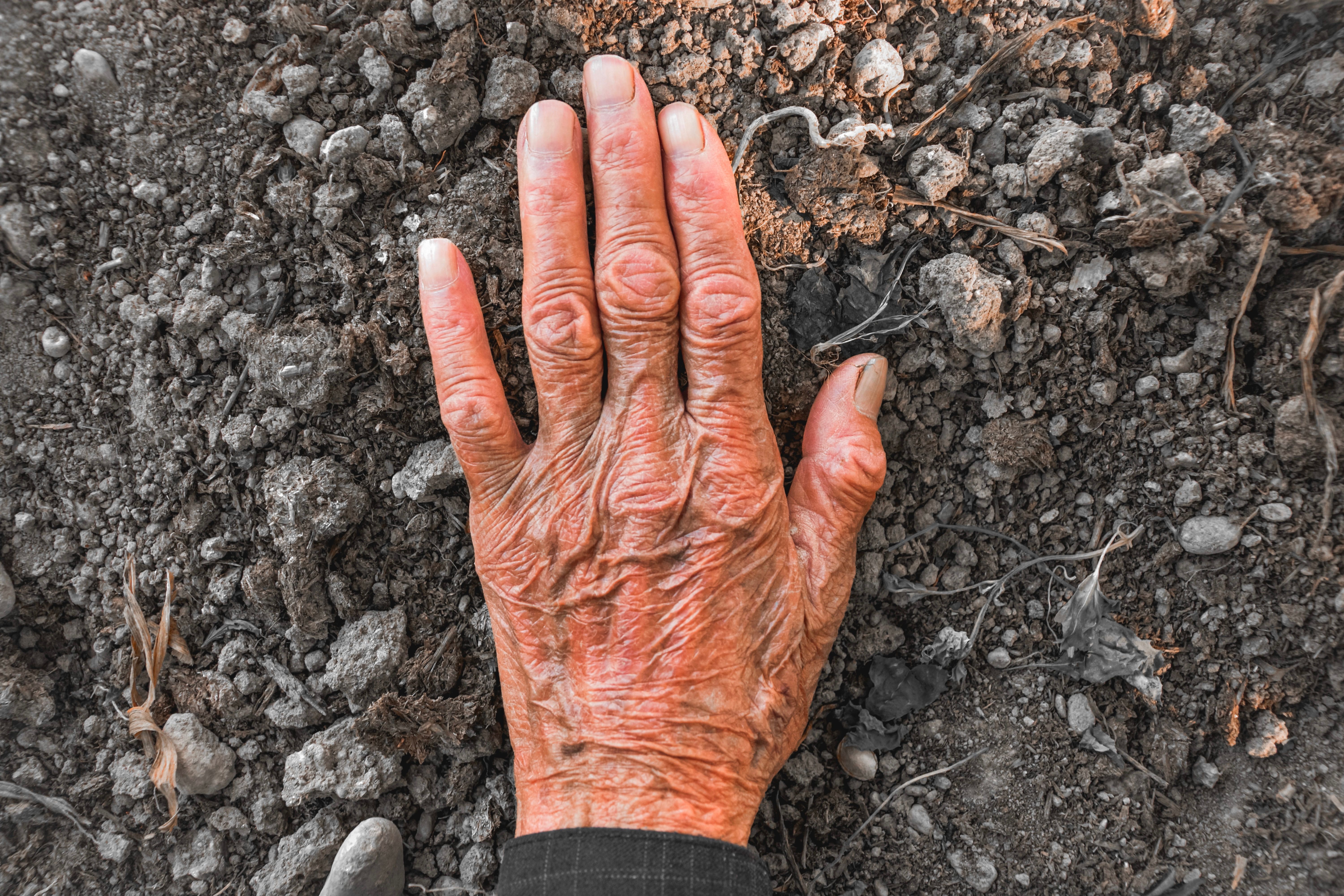 Wrinkled Hand of Elderly Person Touching Soil · Free Stock Photo