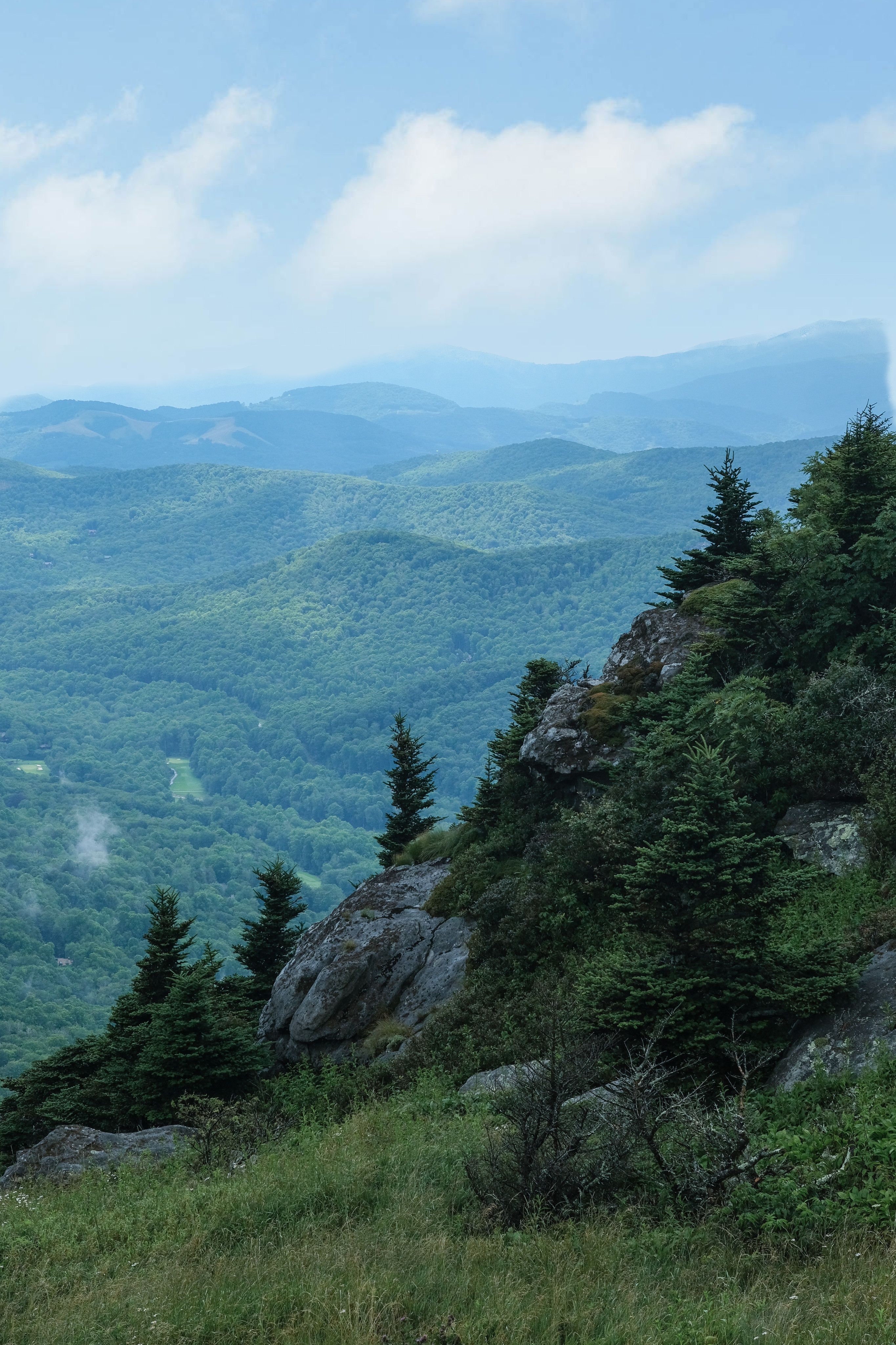 Forested Rolling Mountain Landscape · Free Stock Photo