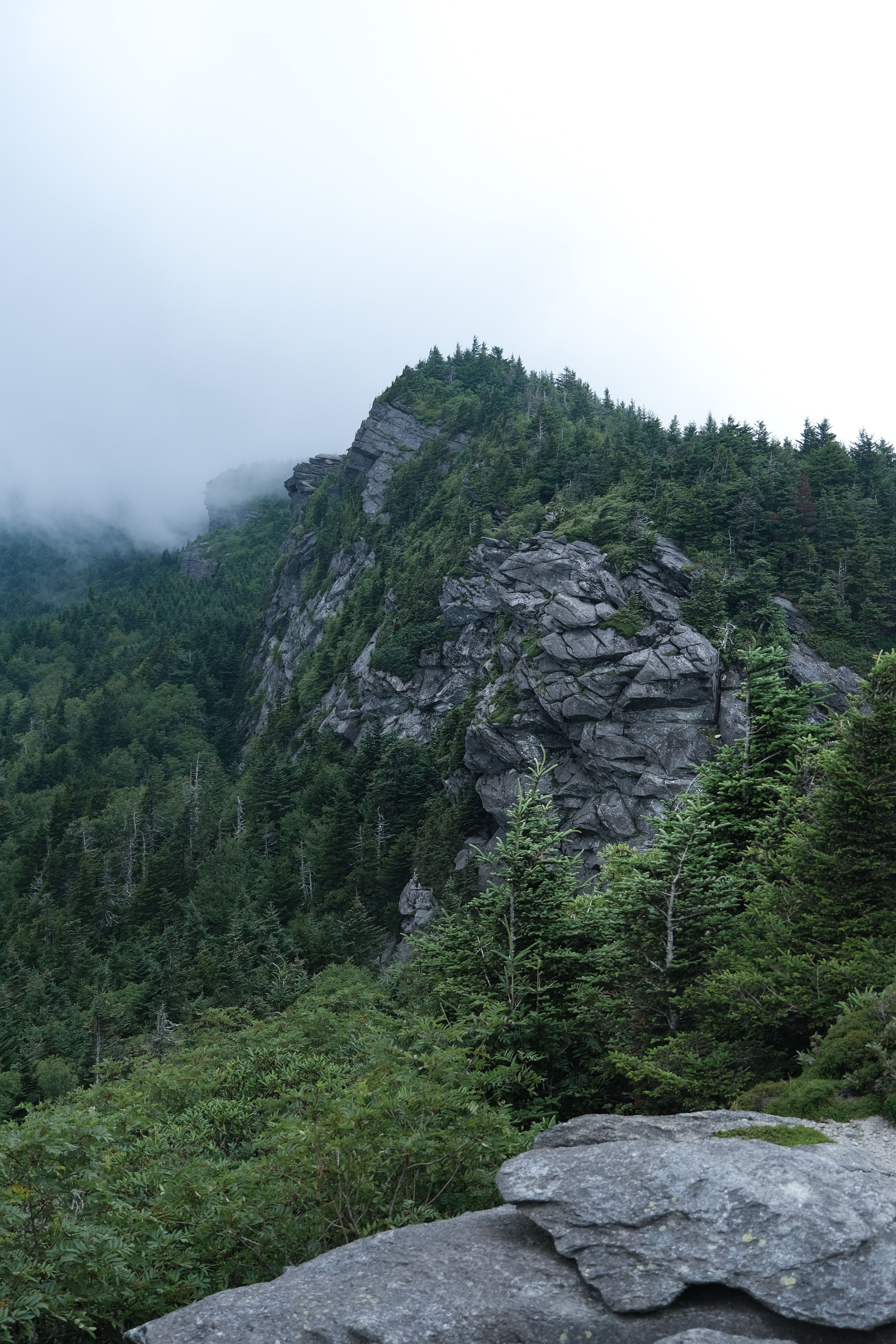 Forested Rock Formation · Free Stock Photo