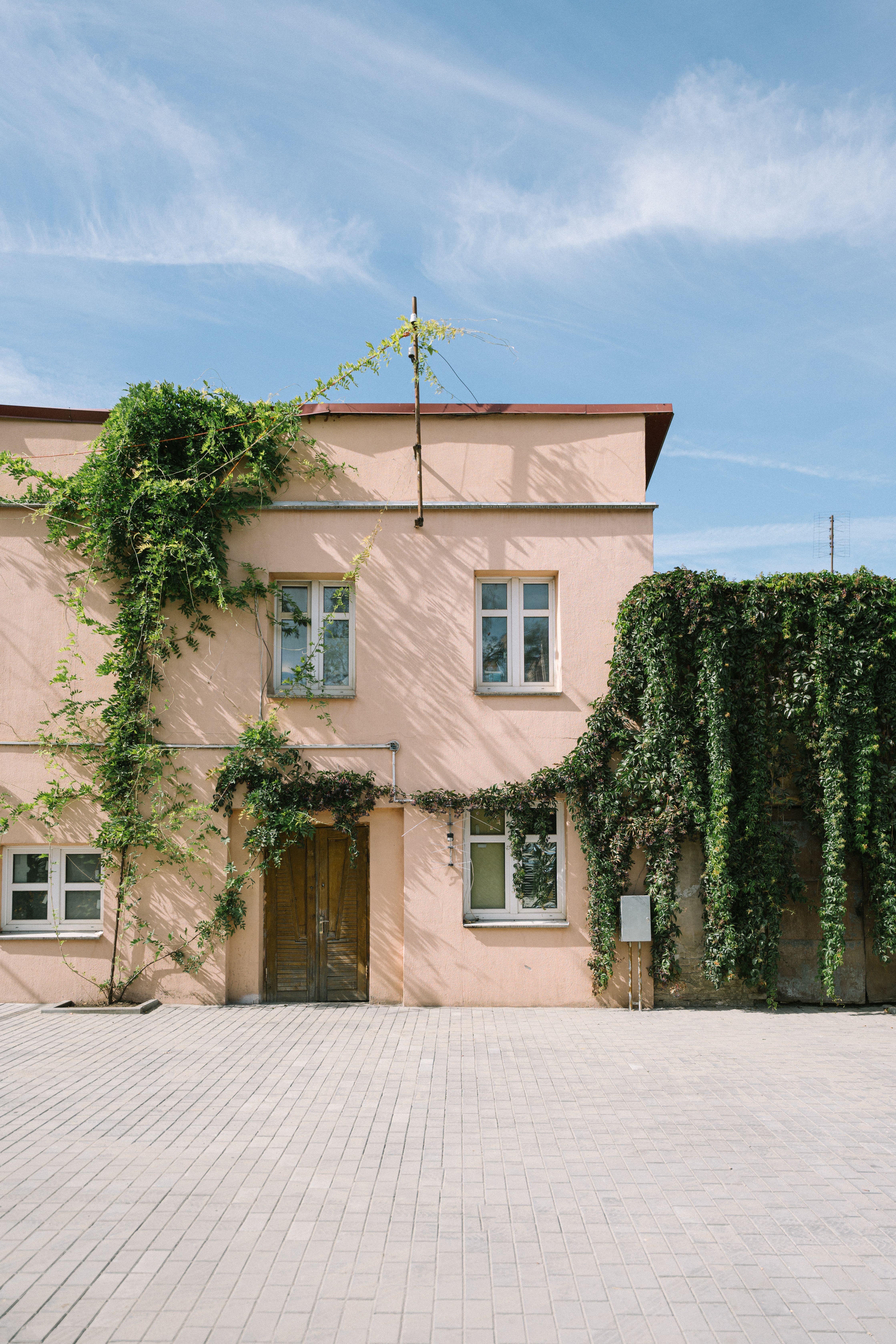 Foto de stock gratuita sobre casa, casas, edificio, hiedra, muro ...