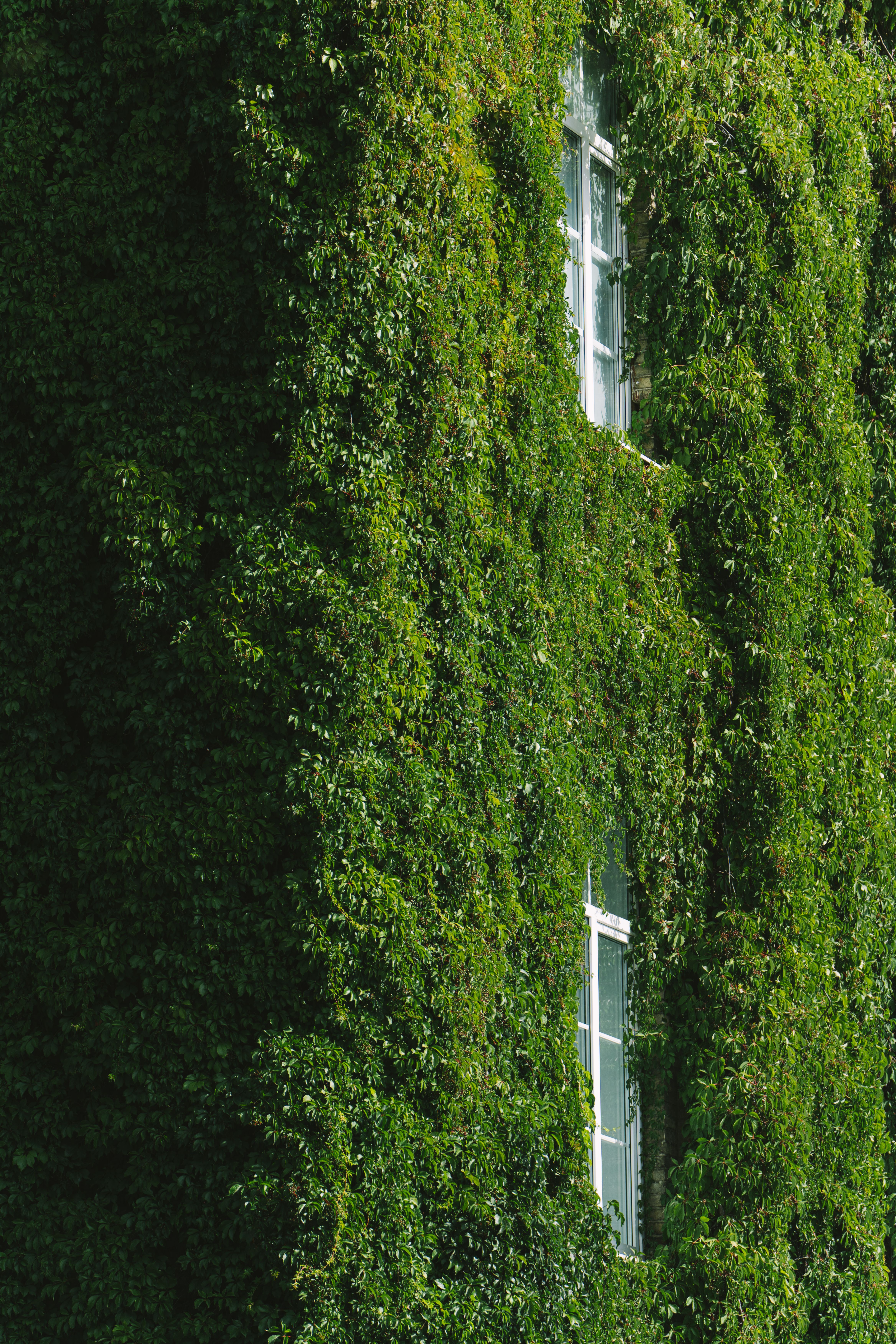 Photo gratuite de architecture, architecture naturelle, architecture ...