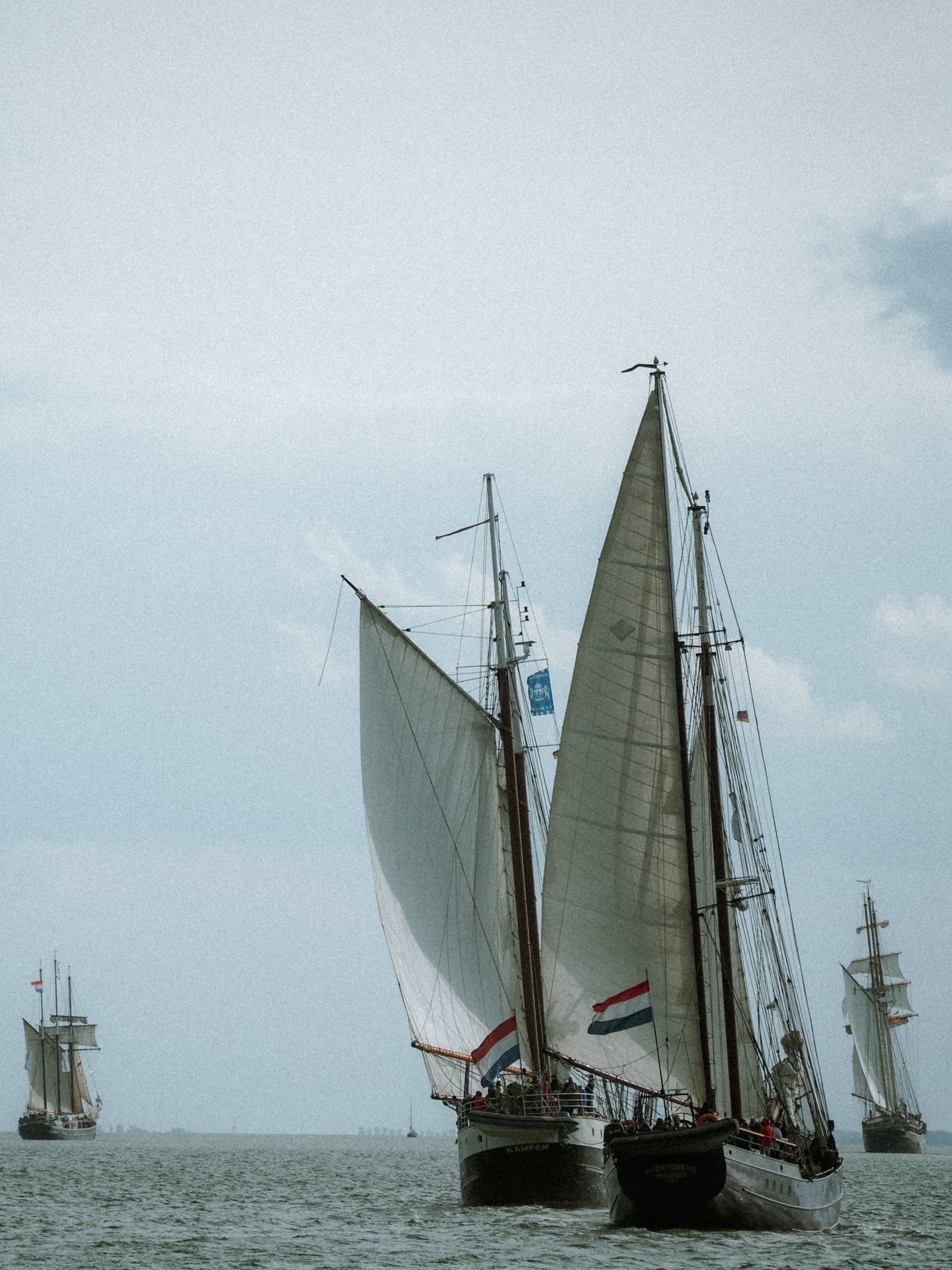 View of Sailboats with Flags of the Netherlands · Free Stock Photo