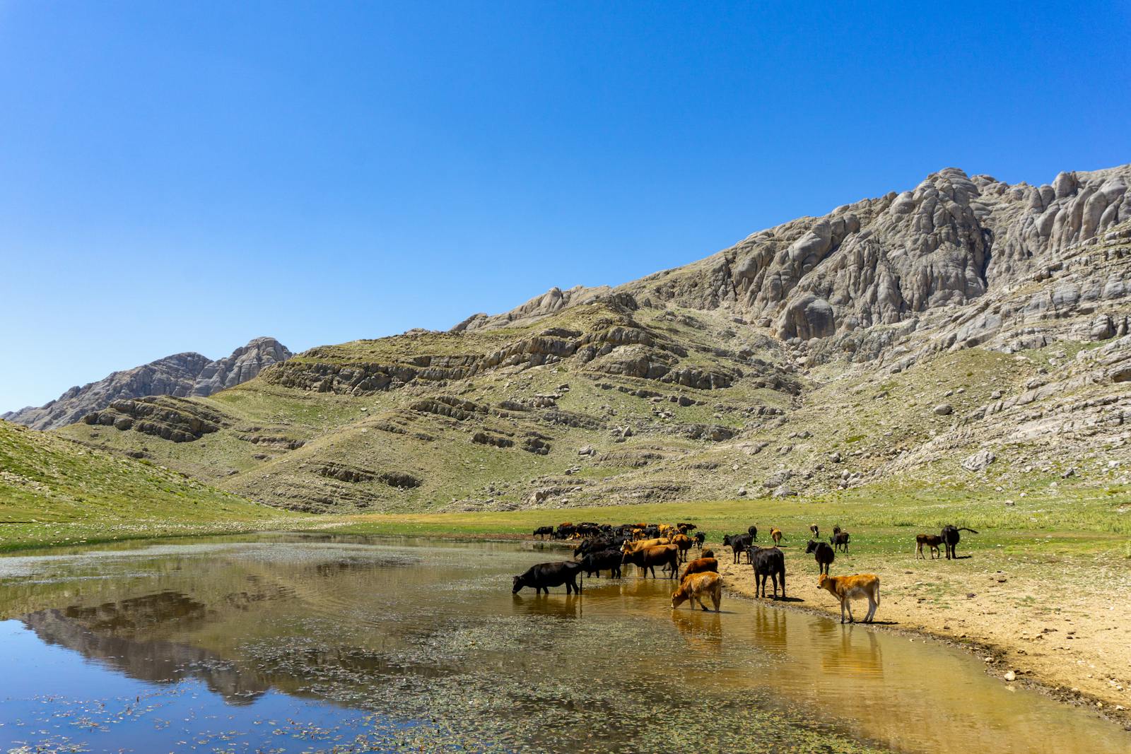 Drinking Water Images Photos, Download The BEST Free Drinking Water ...