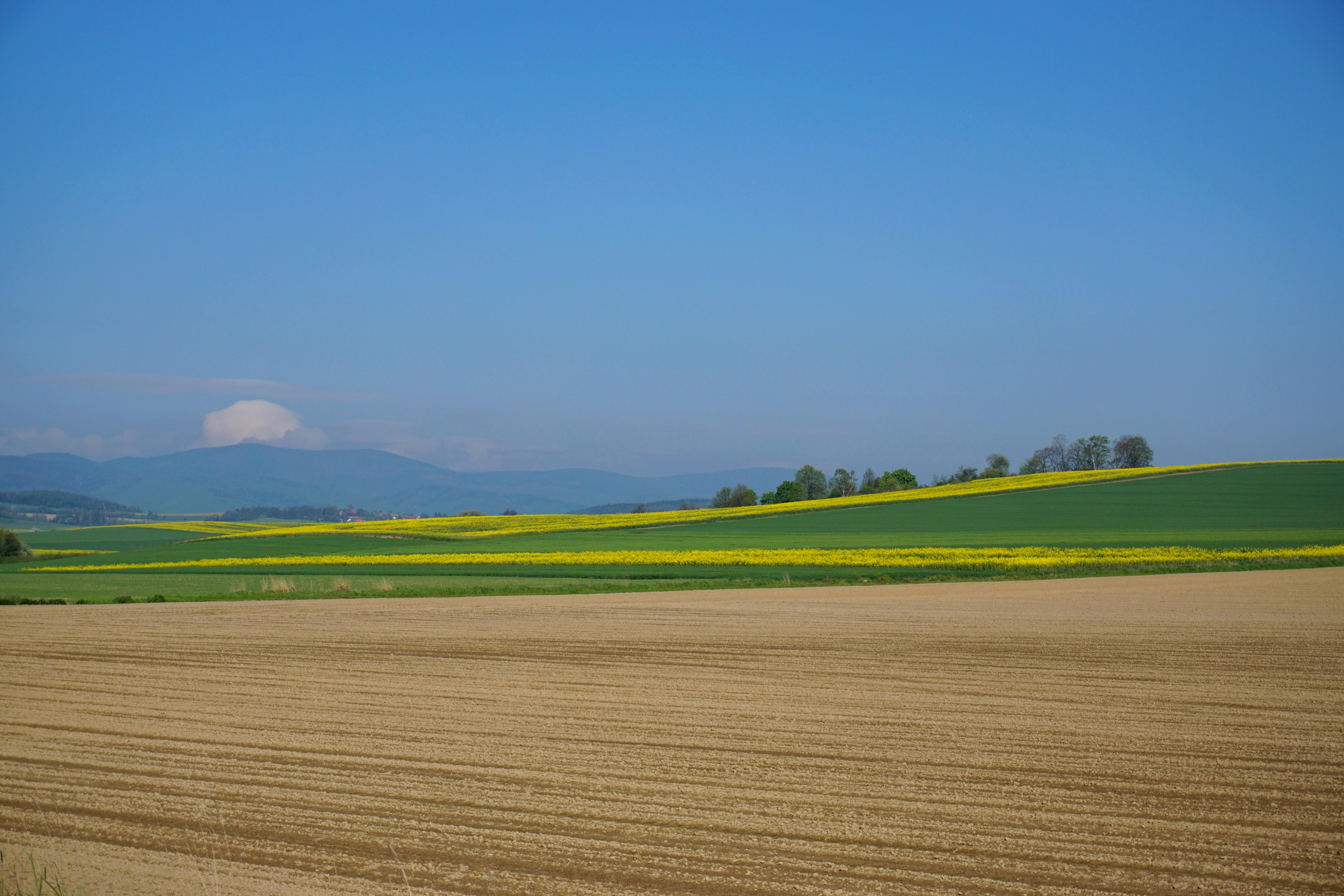 Fields in Mountains · Free Stock Photo