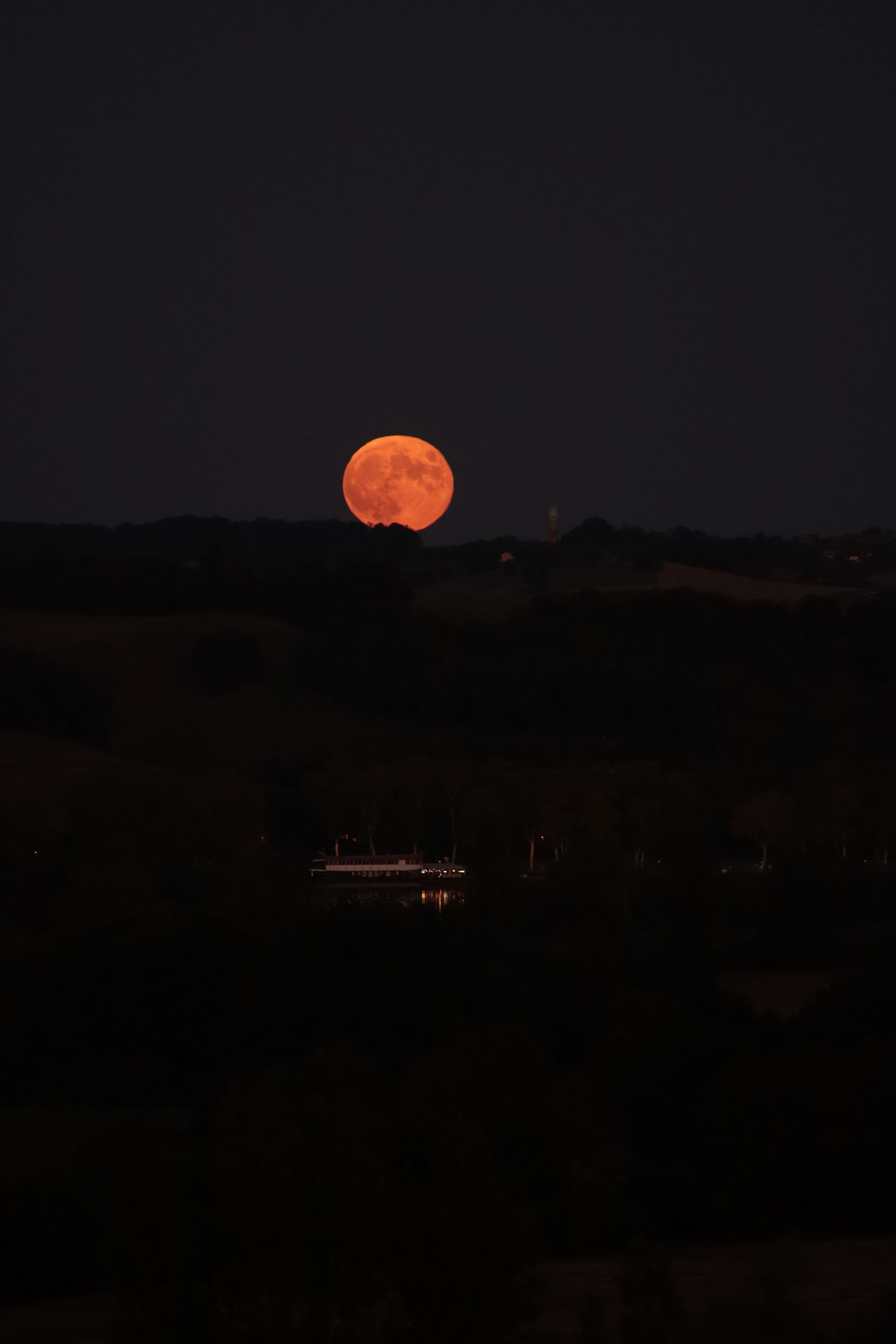 A full moon rises over a hill with trees in the background · Free Stock ...