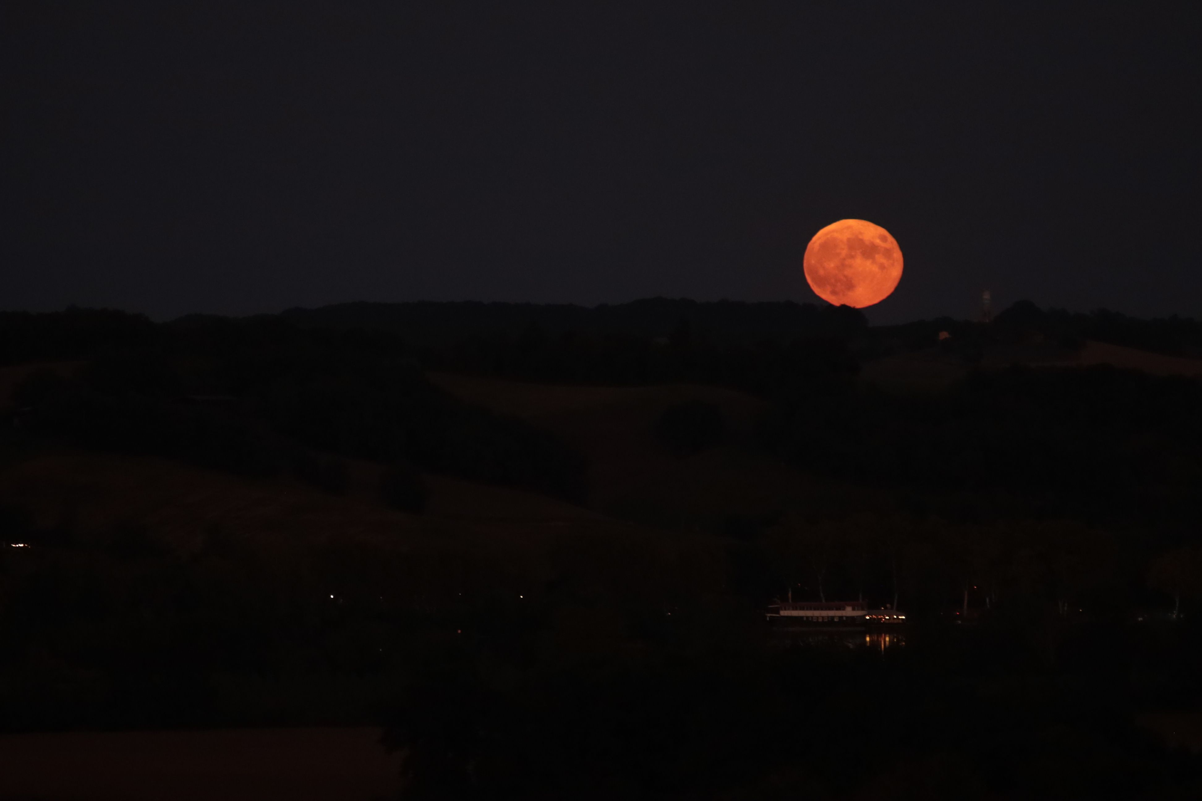 A full moon rises over a hillside with trees · Free Stock Photo