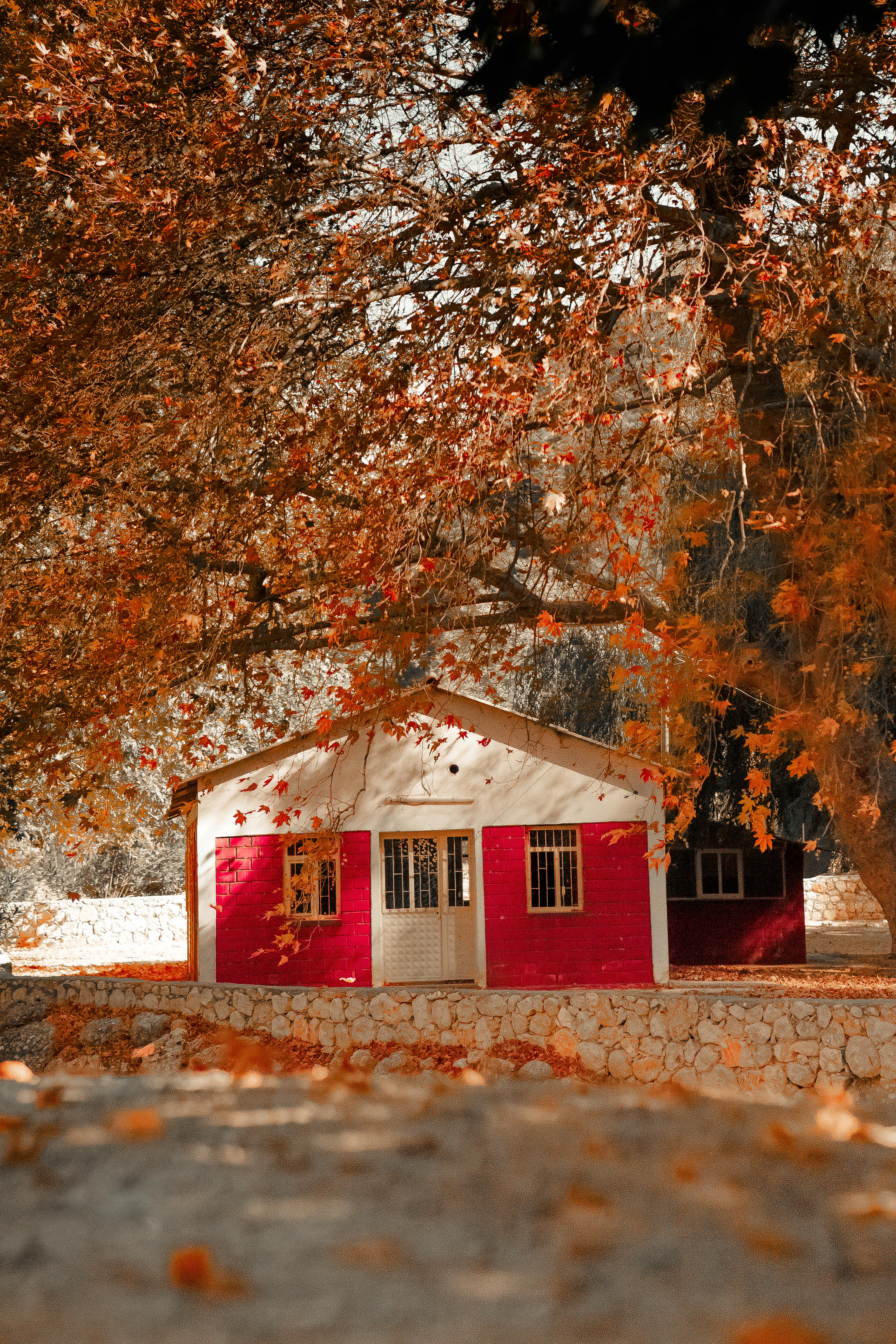 Black and White Cottage under Autumnal Tress · Free Stock Photo