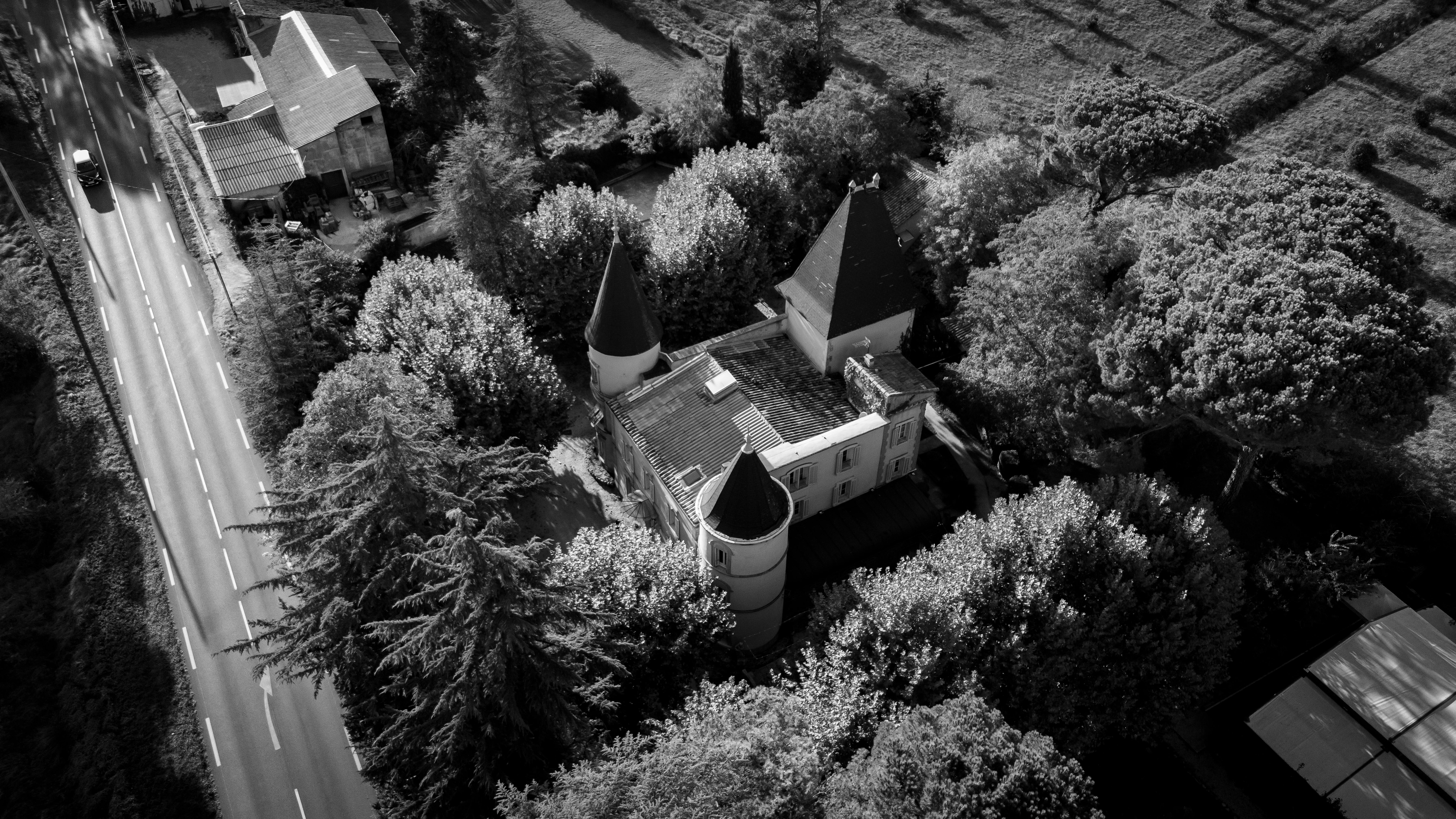 Tree Jpg Photos, Download The BEST Free Tree Jpg Stock Photos & HD Images