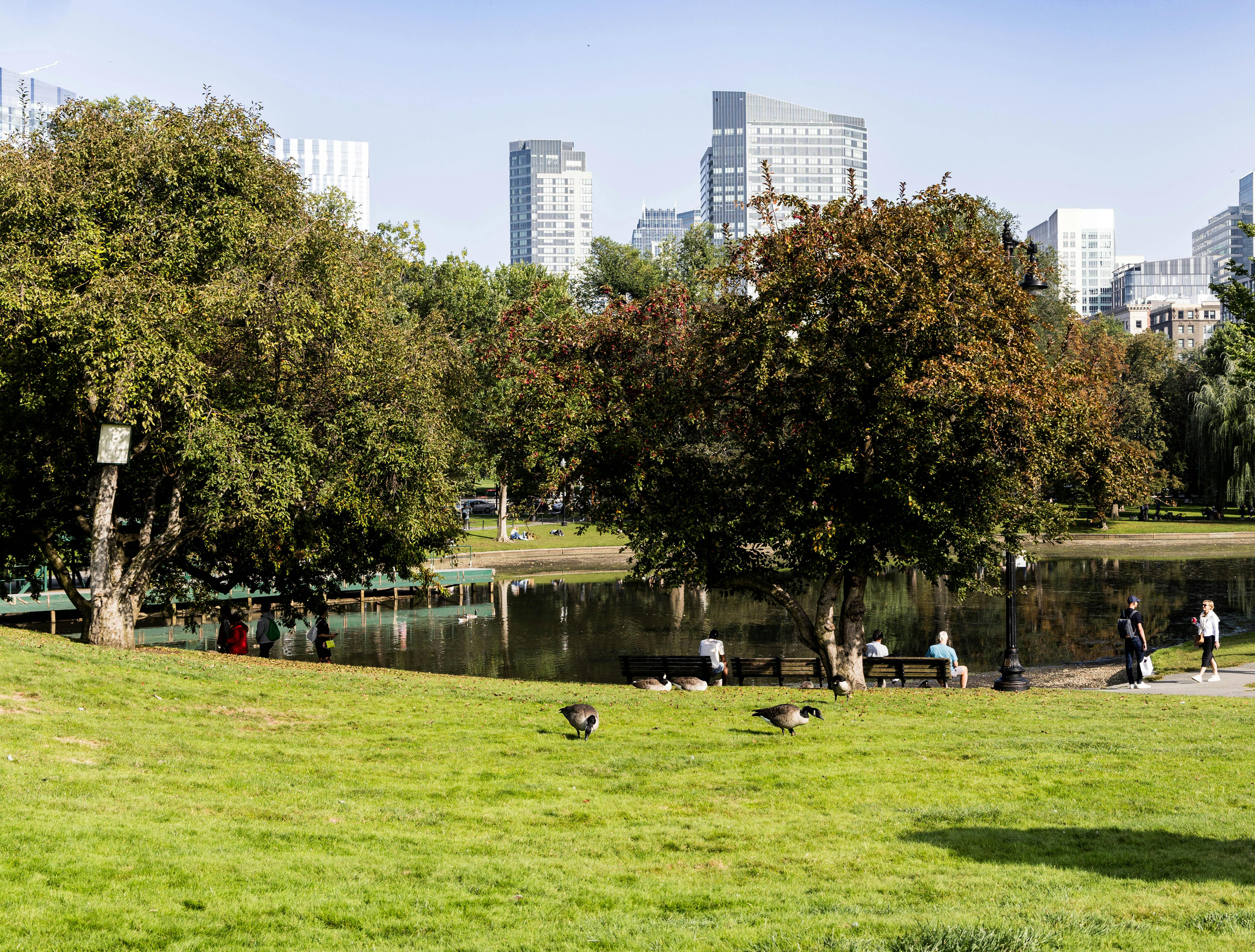 Park with pond in City · Free Stock Photo