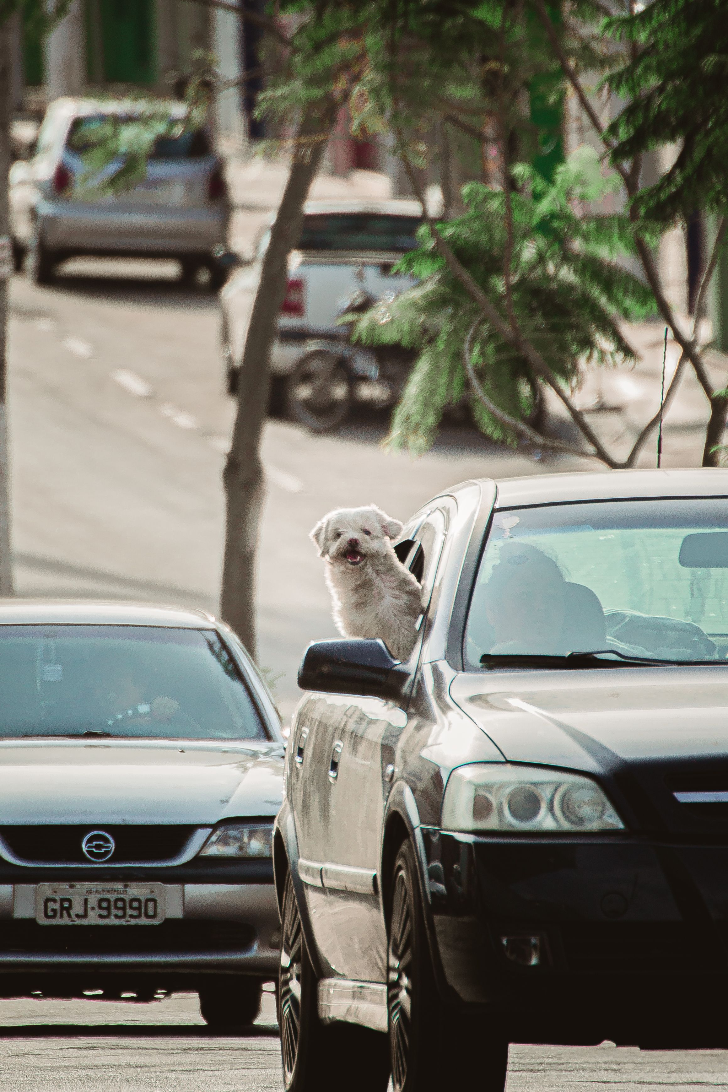 Animated Car Photos, Download The BEST Free Animated Car Stock Photos ...