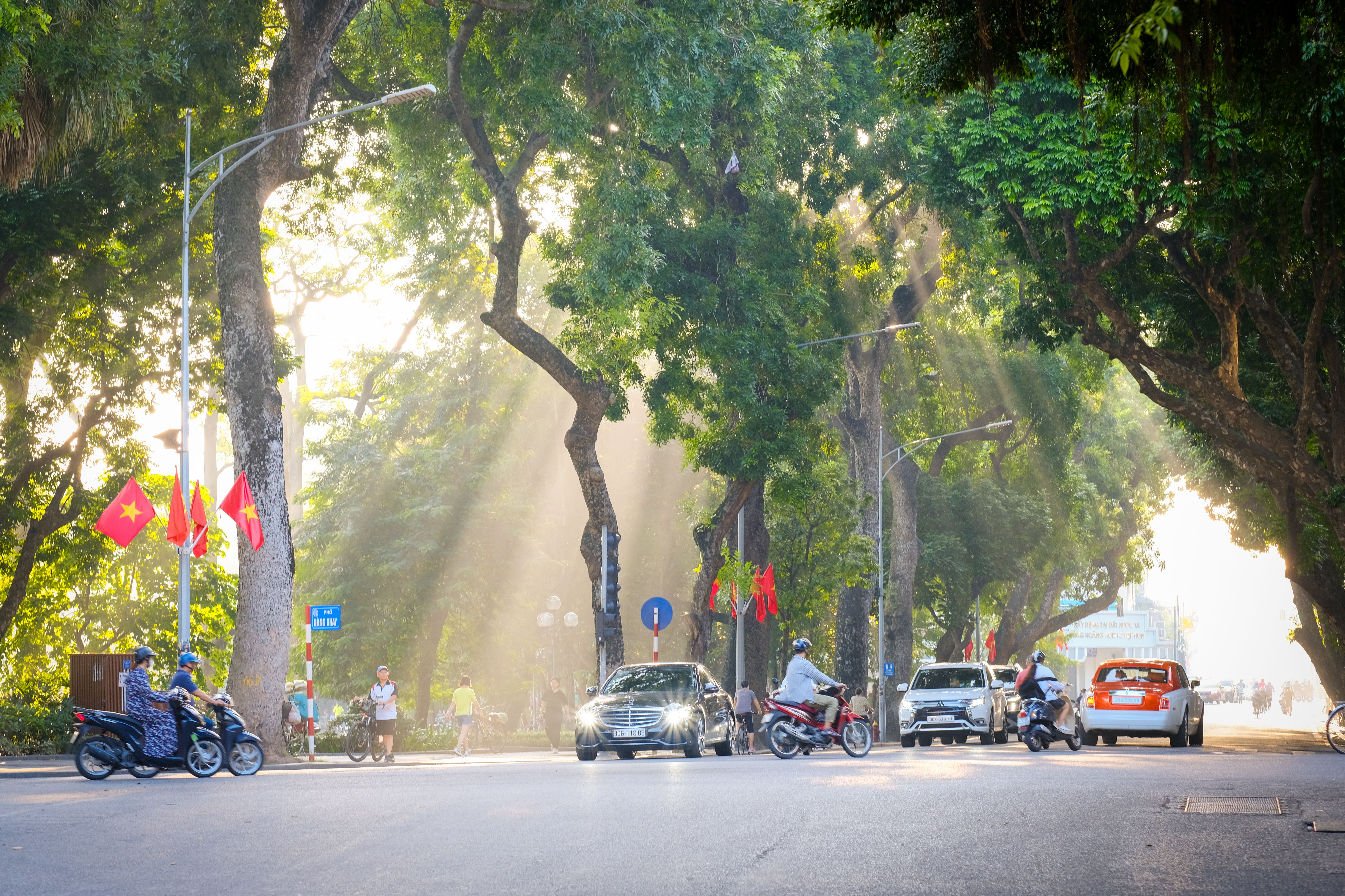 A street with trees and cars on it · meta.free_stock.photo