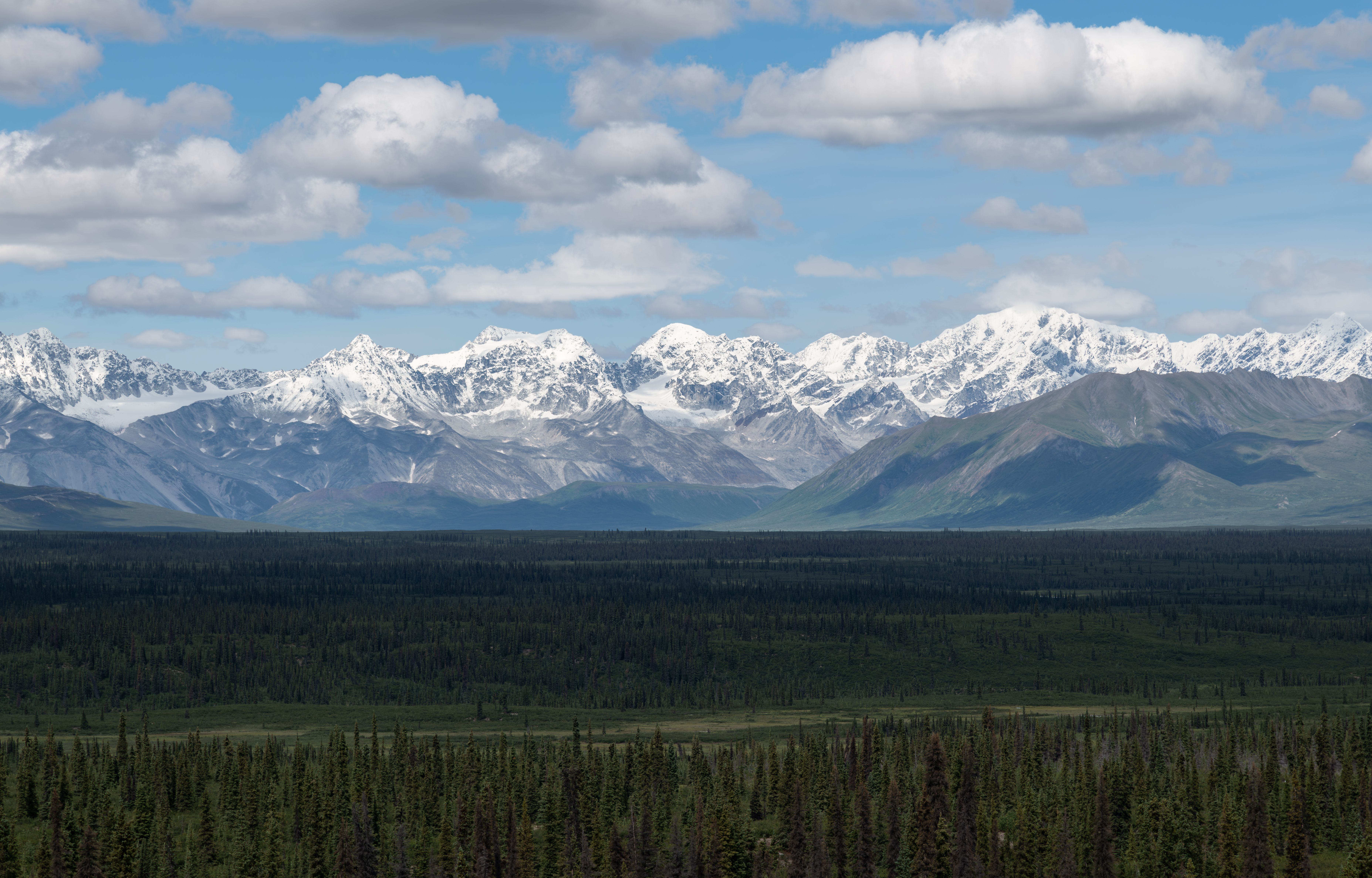 A view of the mountains and forest from a distance · Free Stock Photo