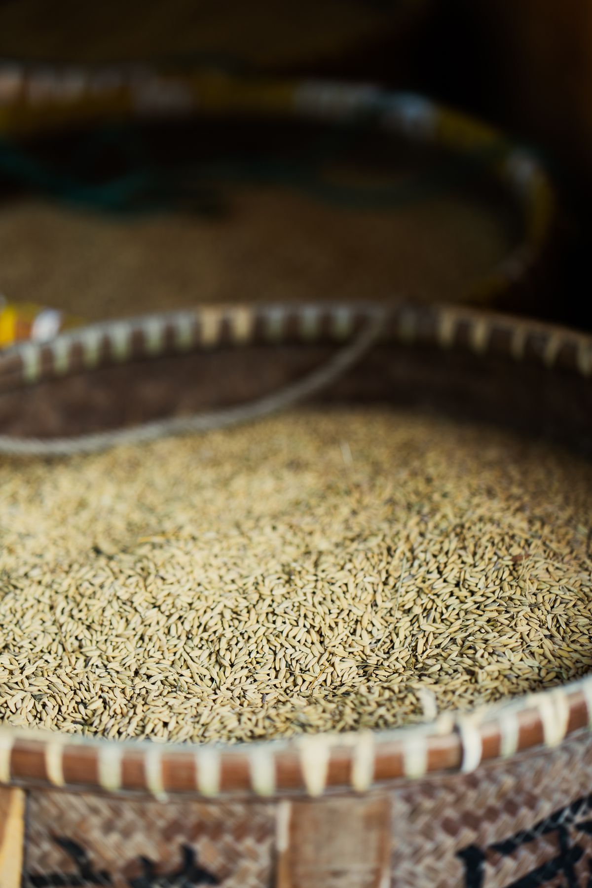 Seed Basket Photos, Download The BEST Free Seed Basket Stock Photos ...