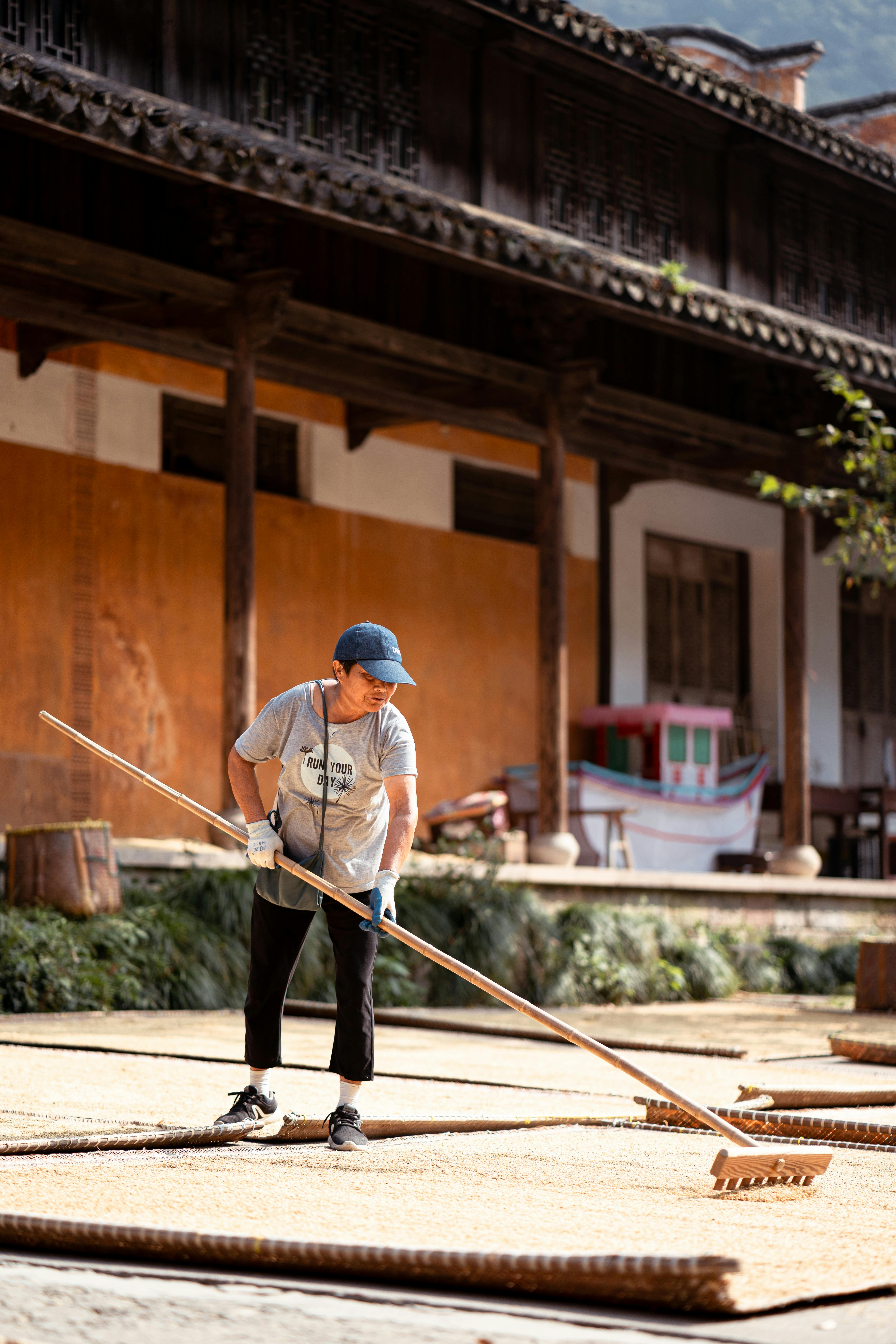 Woman Using Rakes to Dry Rice Grains · Free Stock Photo