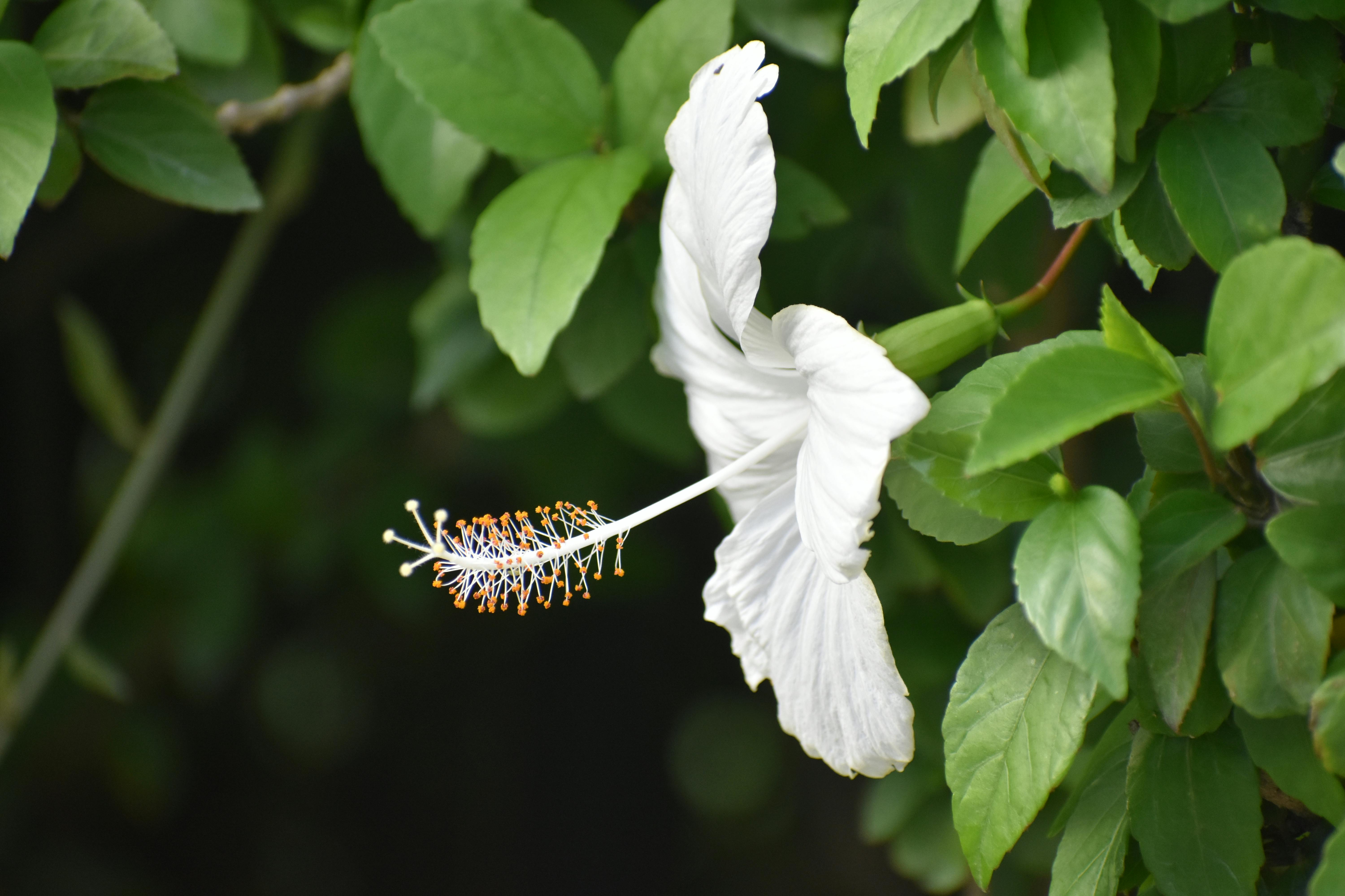 Vishal Govada - 사진