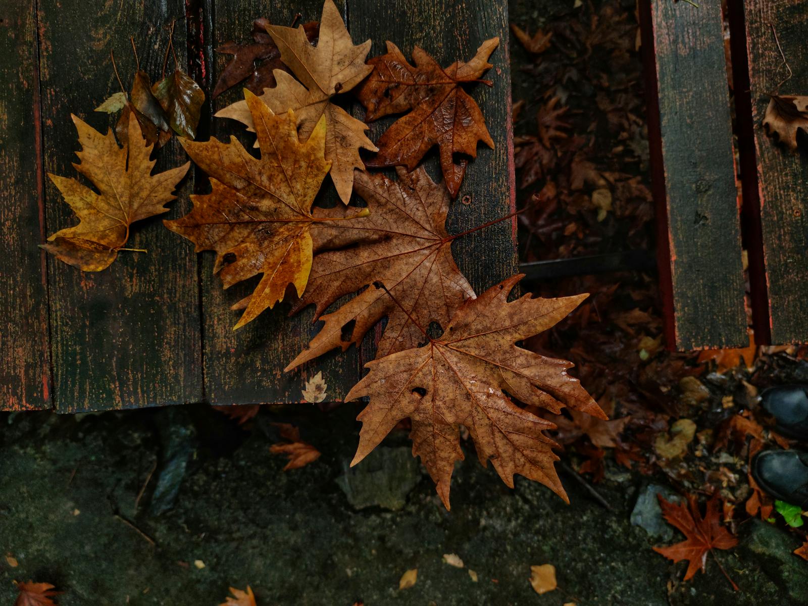 Teak Wood Texture Photos, Download The BEST Free Teak Wood Texture ...