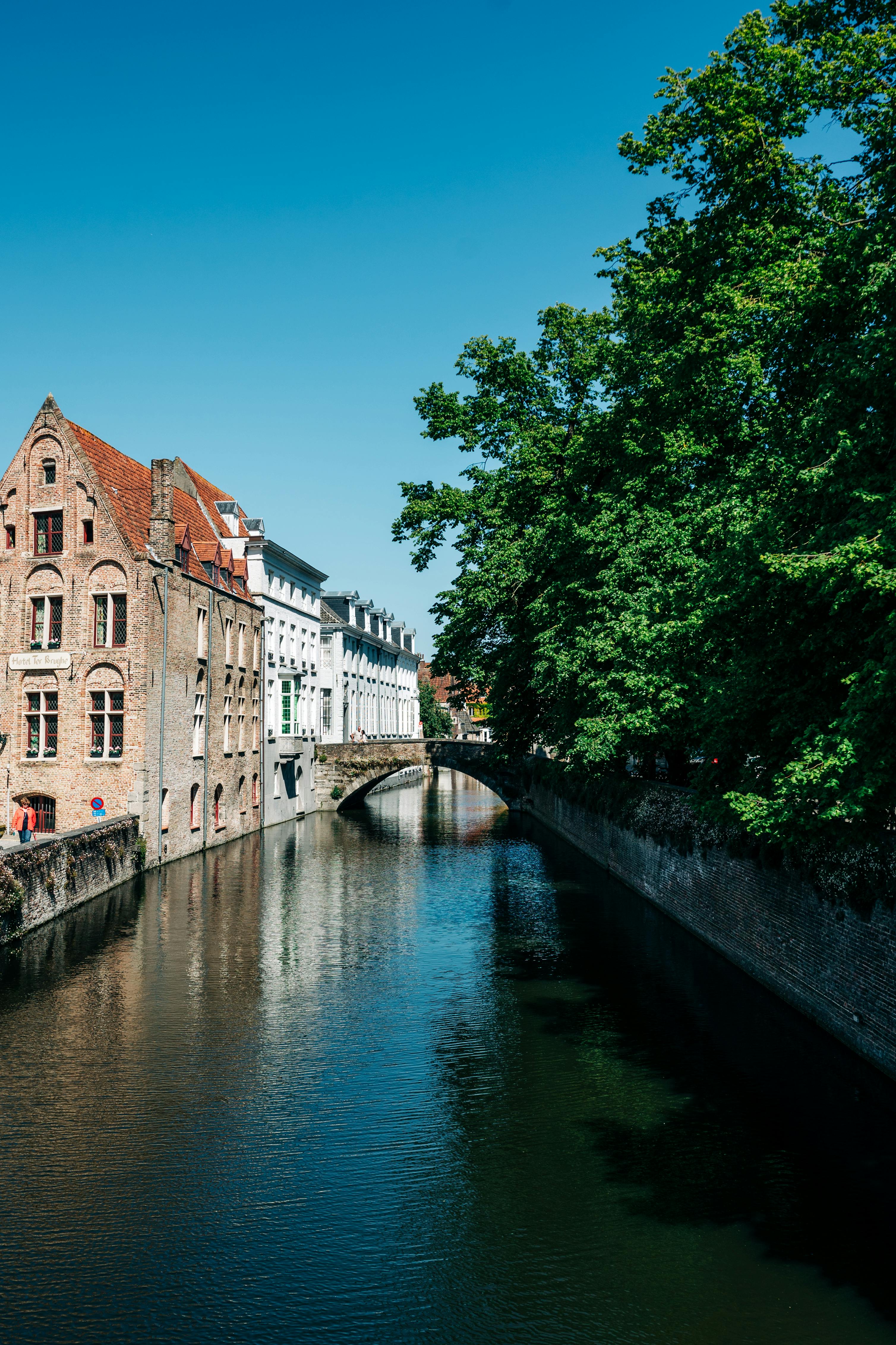 Row of buildings in Bruges · Free Stock Photo
