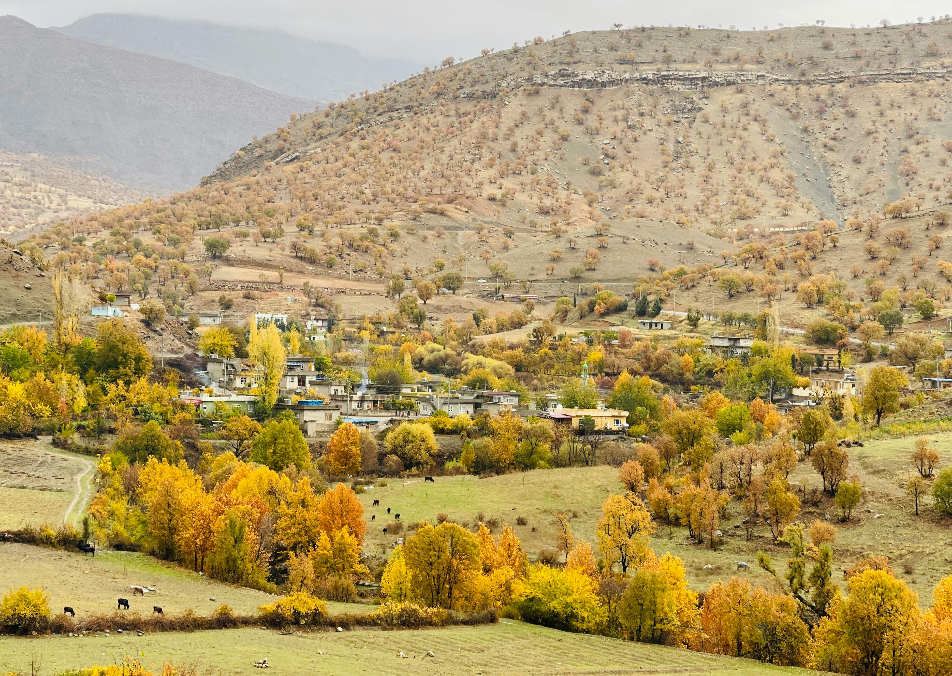 Town in Valley in Autumn · Free Stock Photo