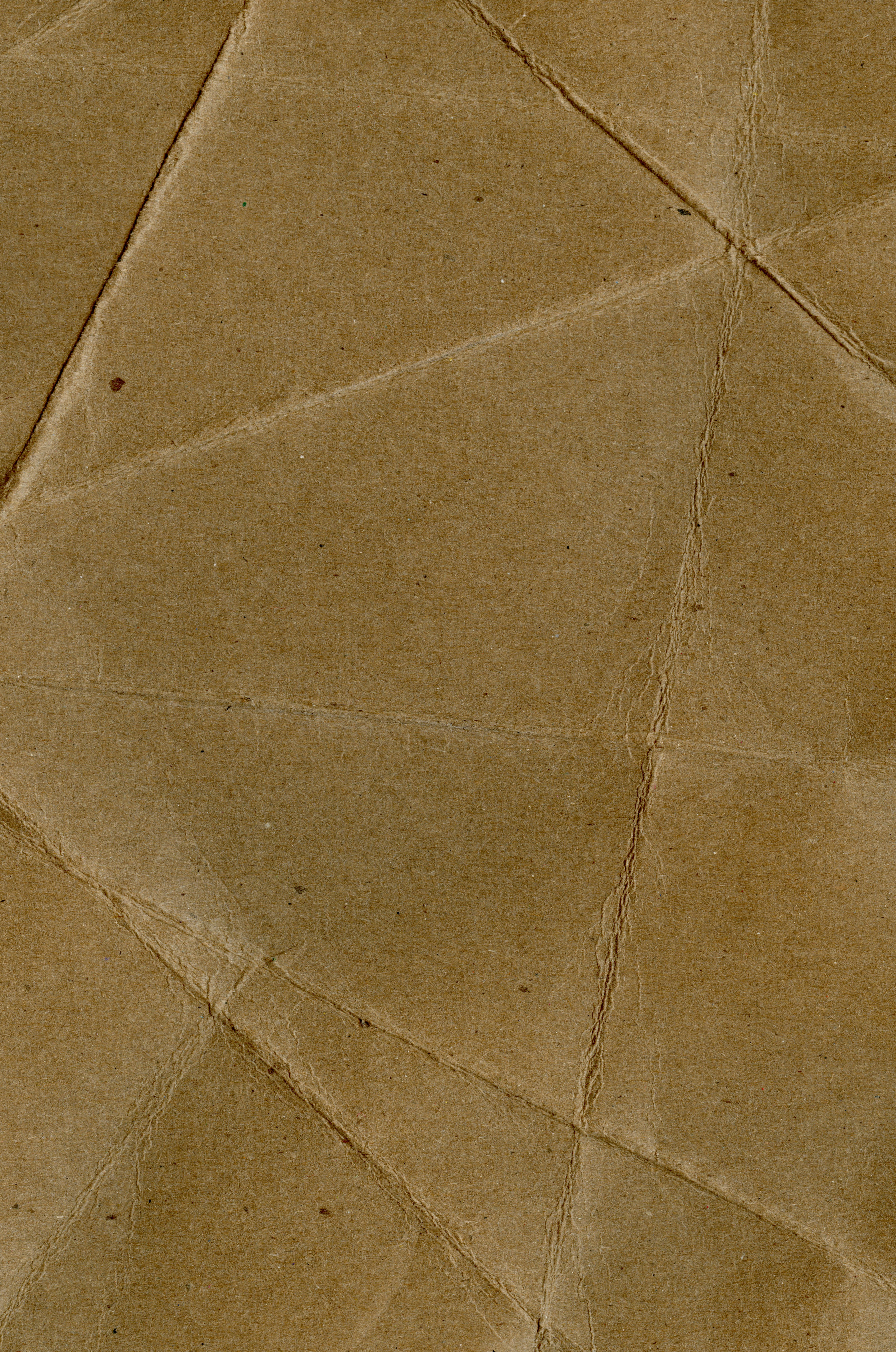 Creases on a Piece of Cardboard · Free Stock Photo