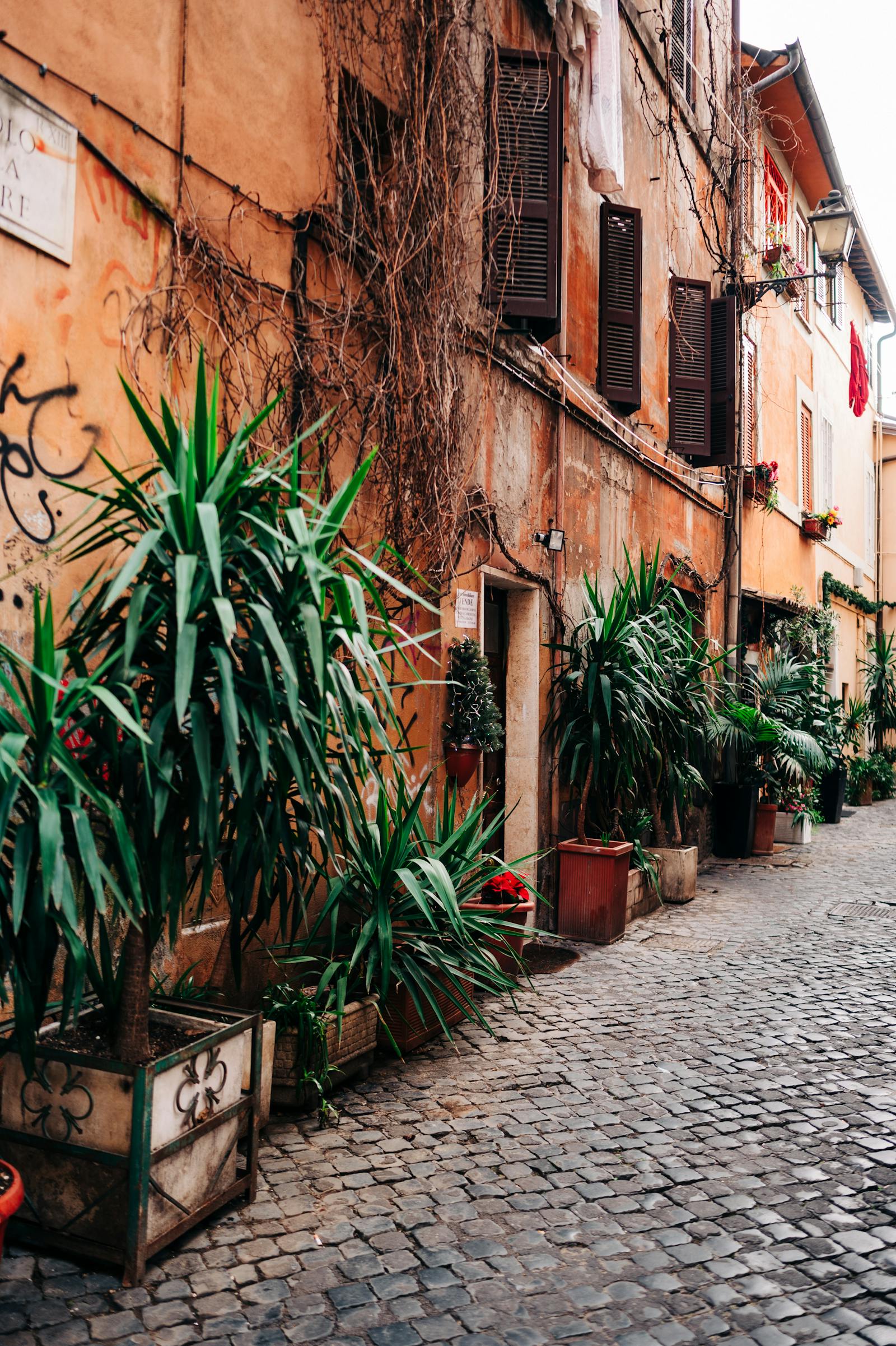 Rome Alley Photos, Download The BEST Free Rome Alley Stock Photos & HD ...
