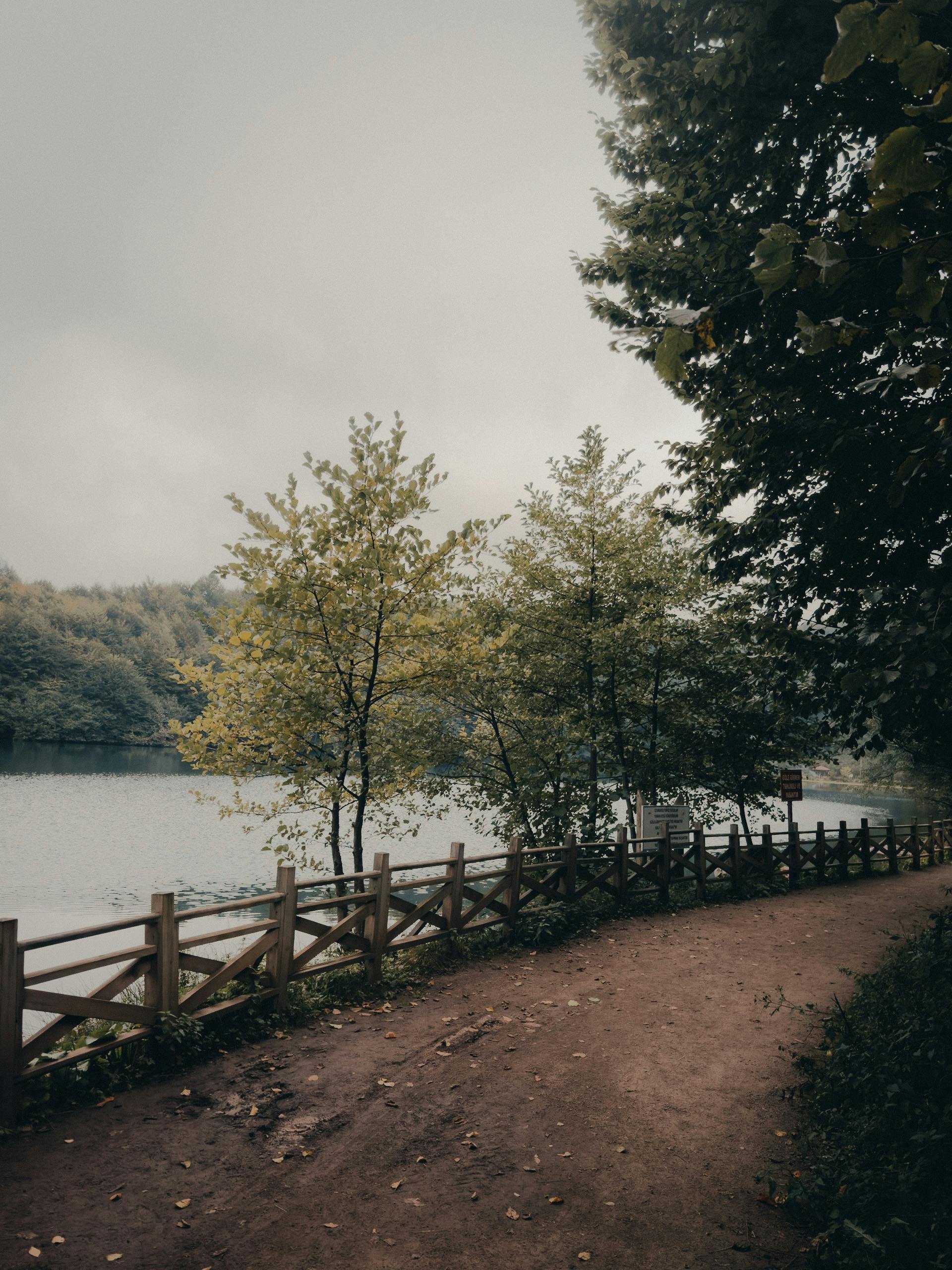 A Pathway and Wooden House on Stilts in the Forest · Free Stock Photo