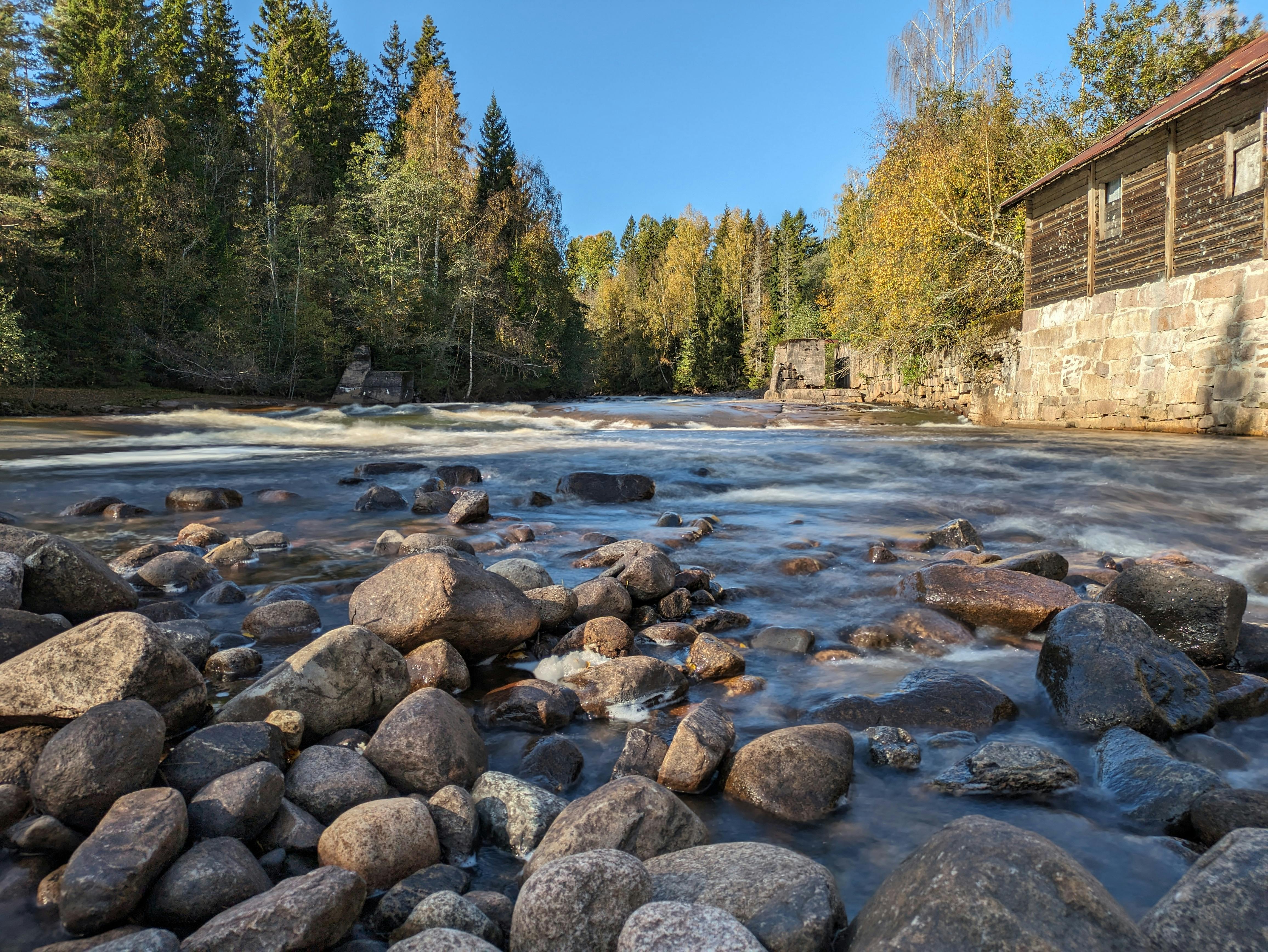 Stone and Wooden Rural House by River in Forest · Free Stock Photo