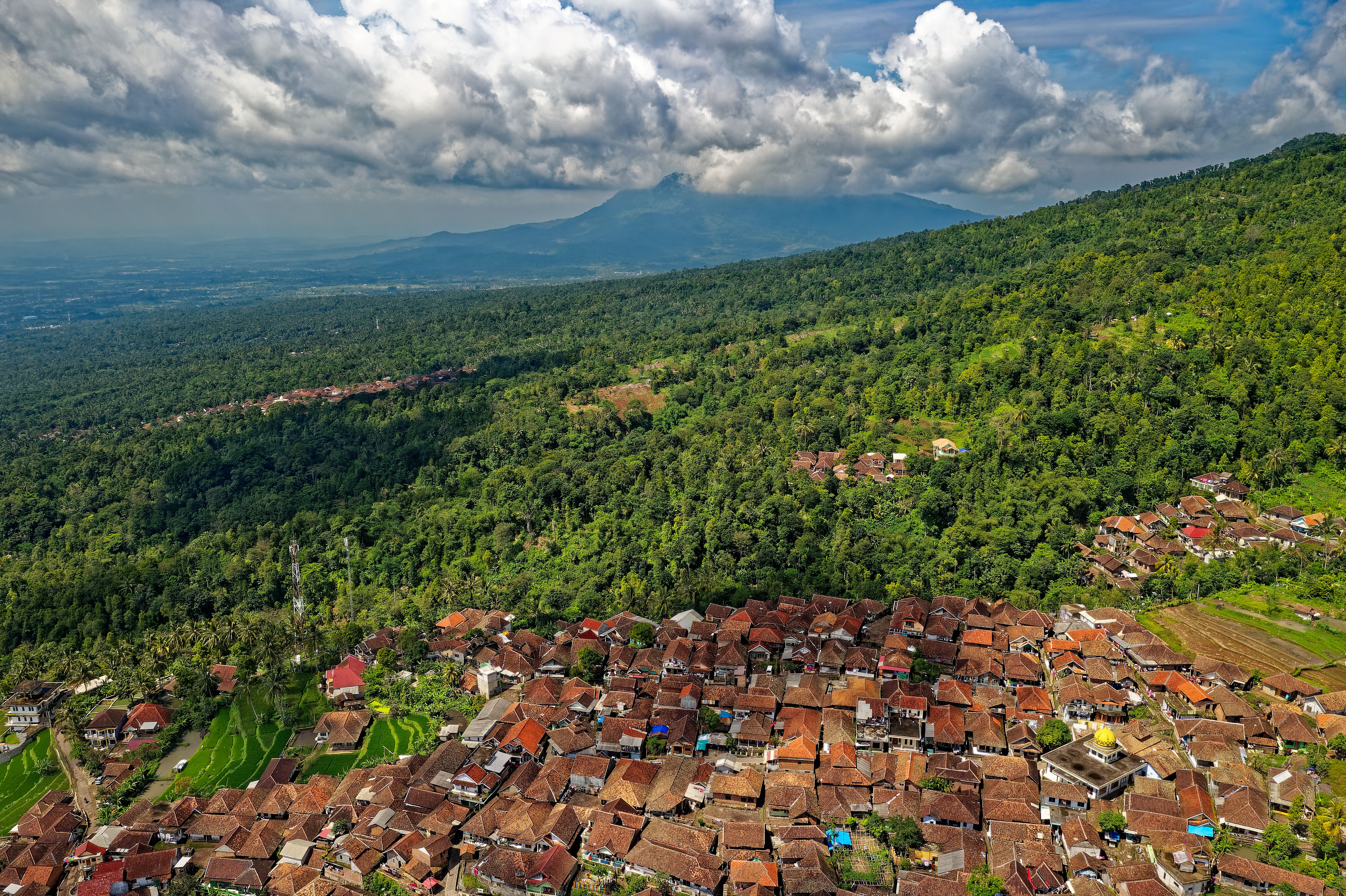 Equatorial Region Forest Photos, Download The BEST Free Equatorial ...