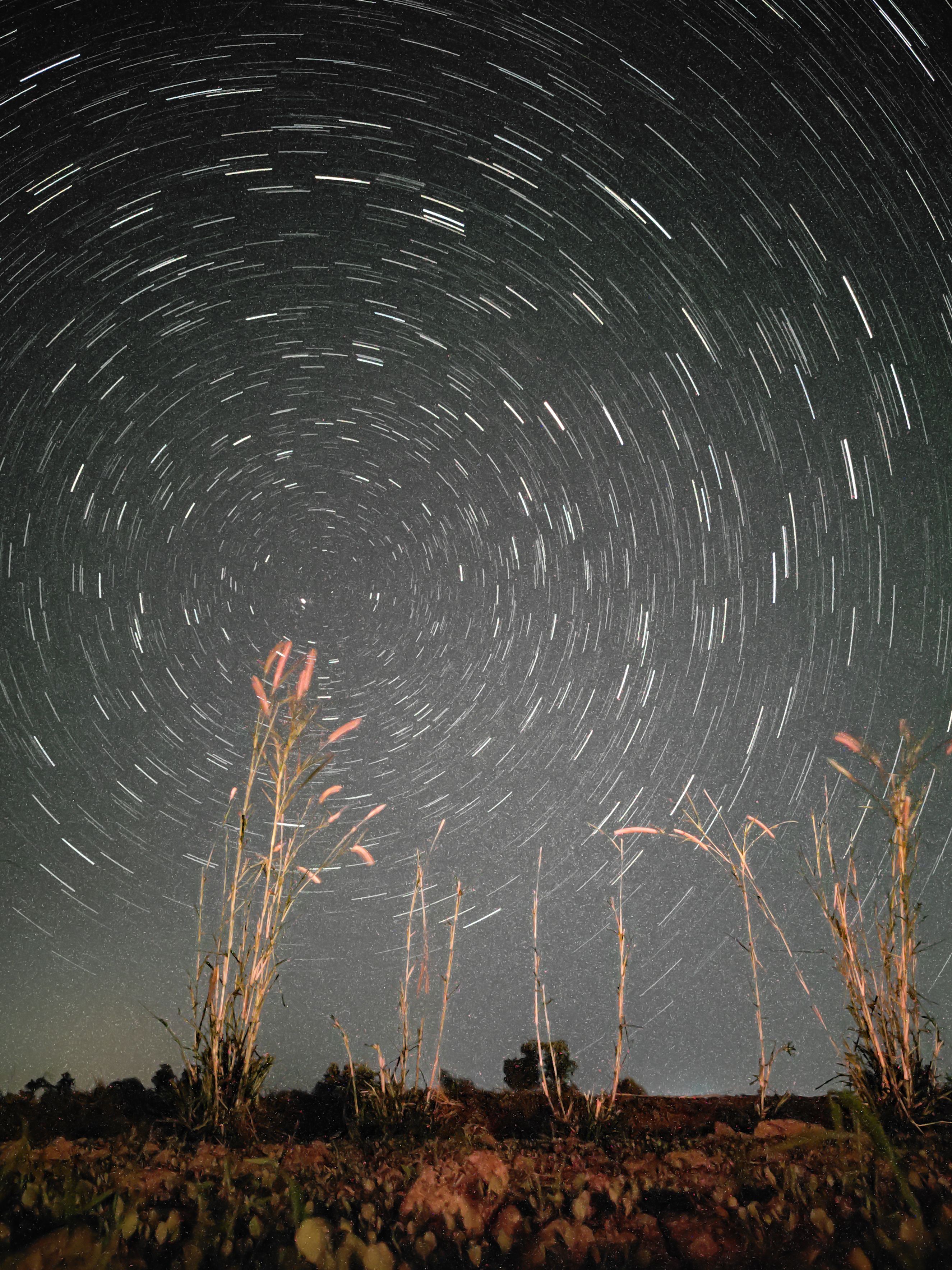 Falling Stars in the Dark Sky · Free Stock Photo