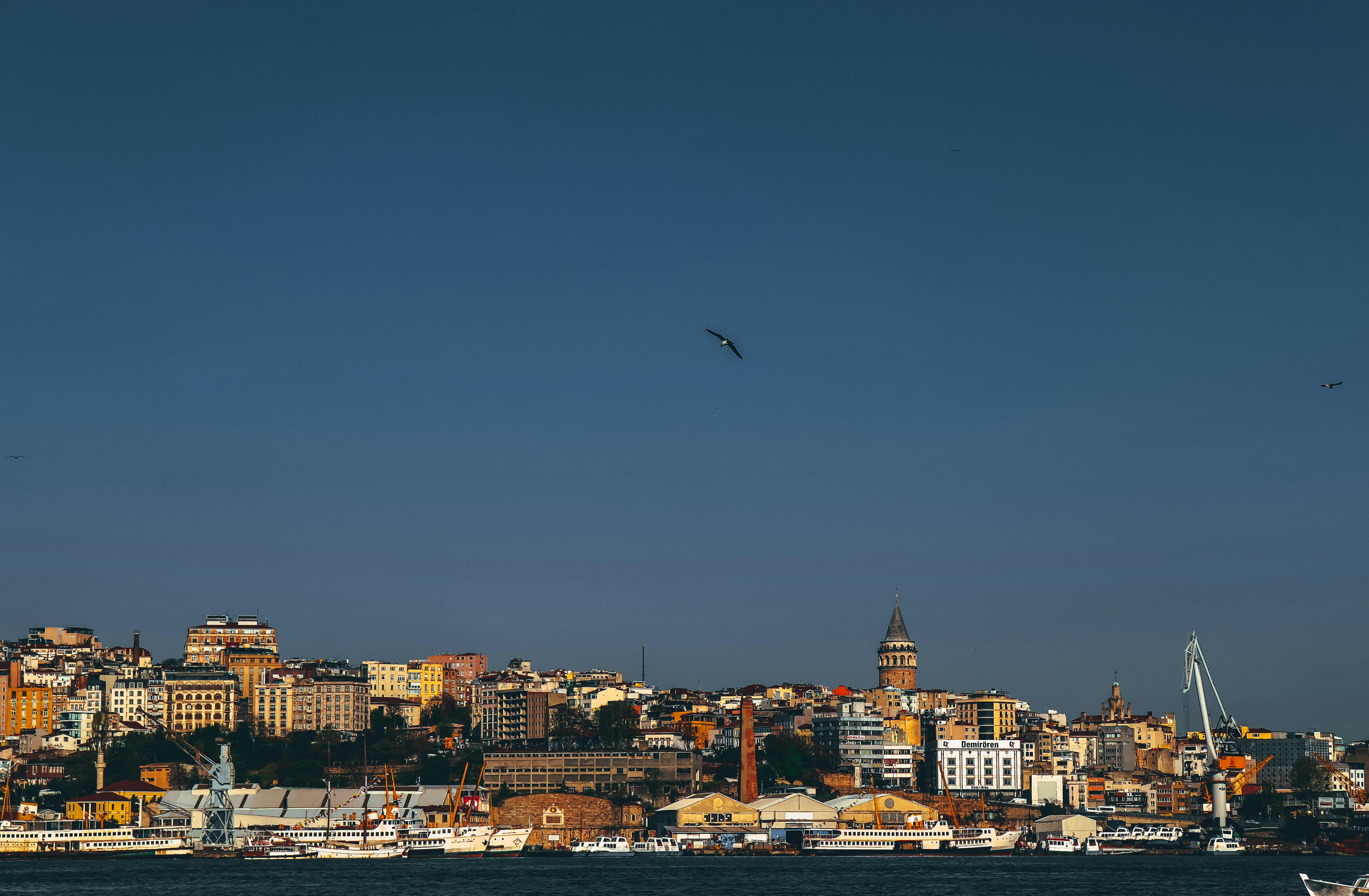 Shimla Potrait Valey View Photos, Download The BEST Free Shimla Potrait ...